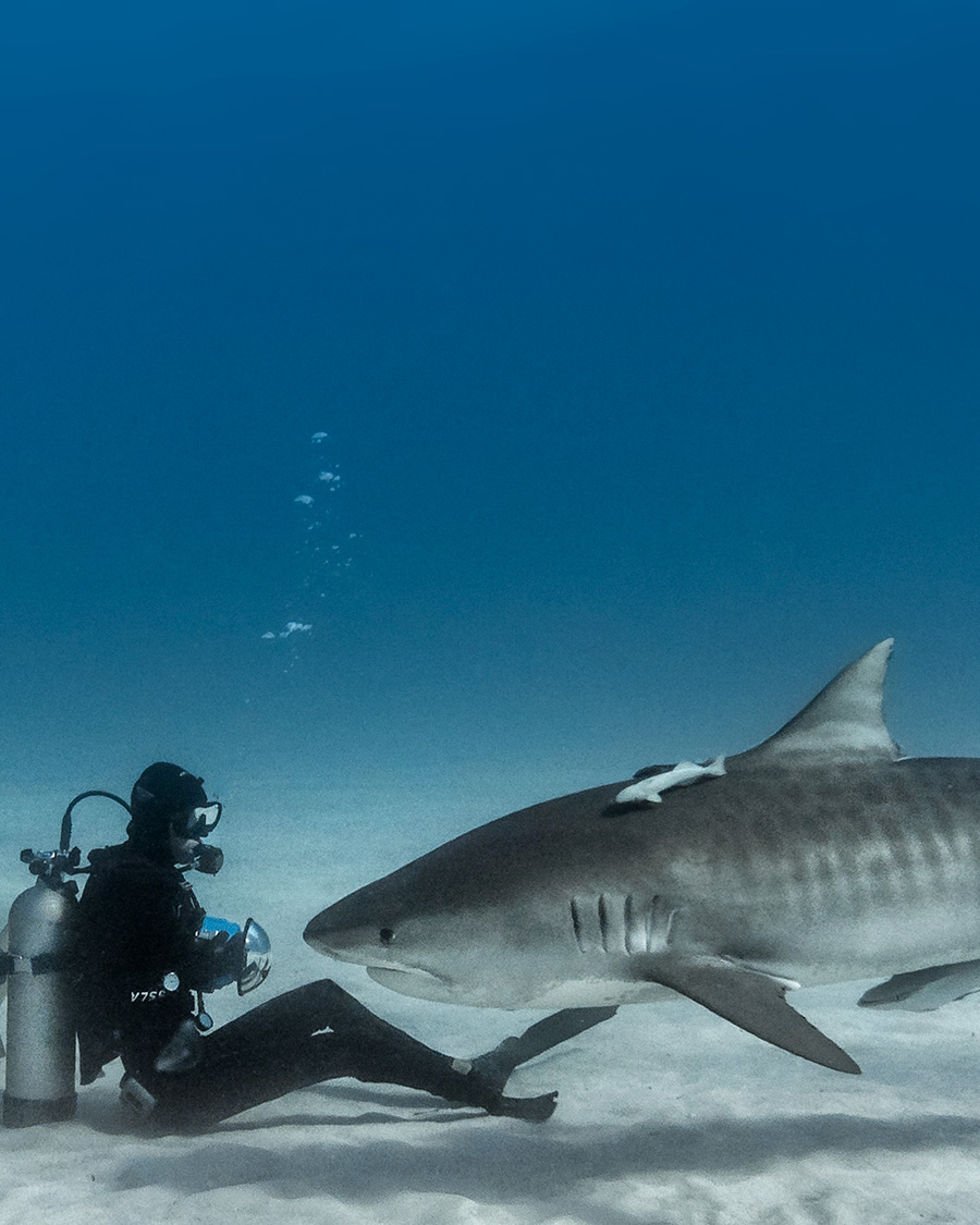 Mike Coots: Finding a purpose - Oceanographic