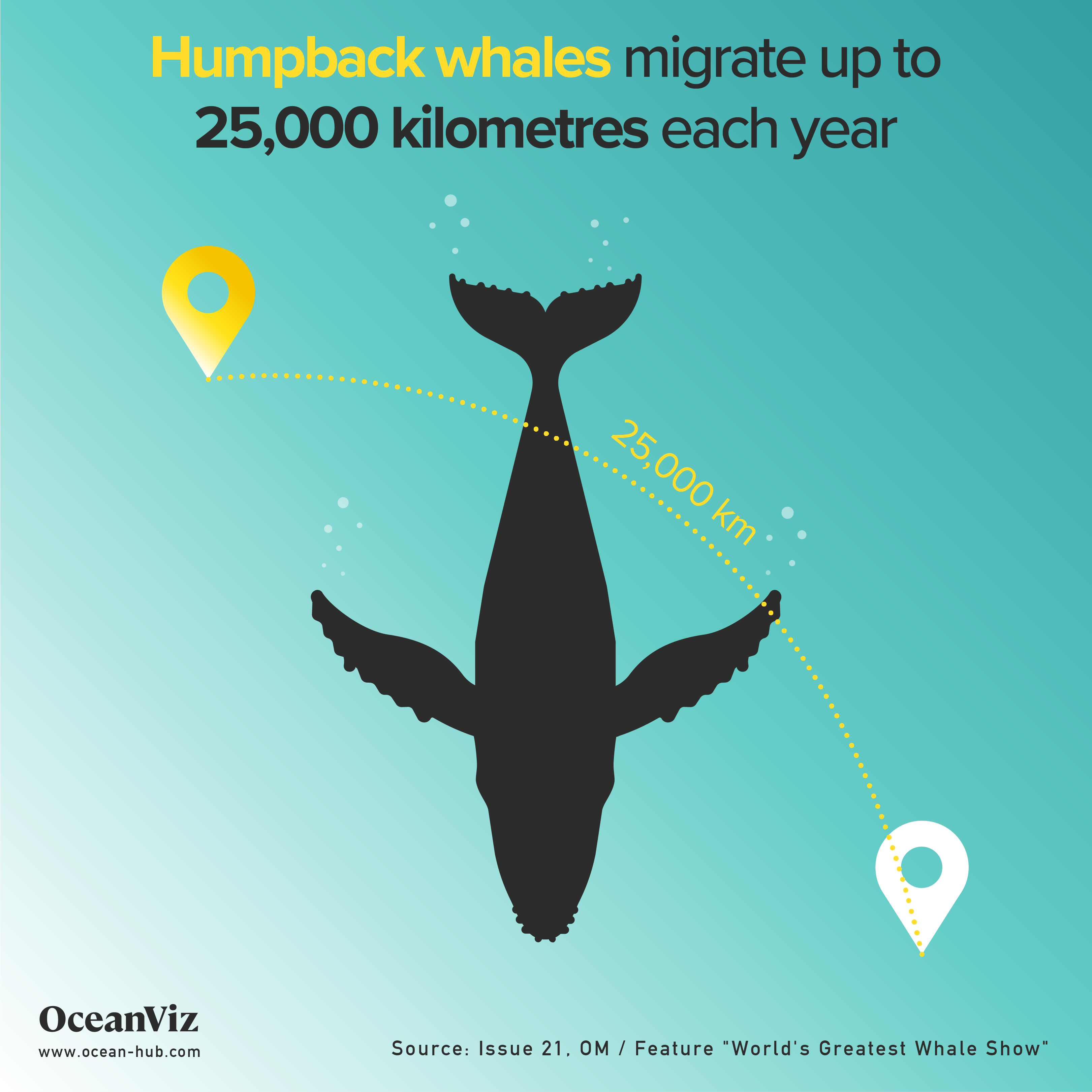 Humpback whale migration - Oceanographic