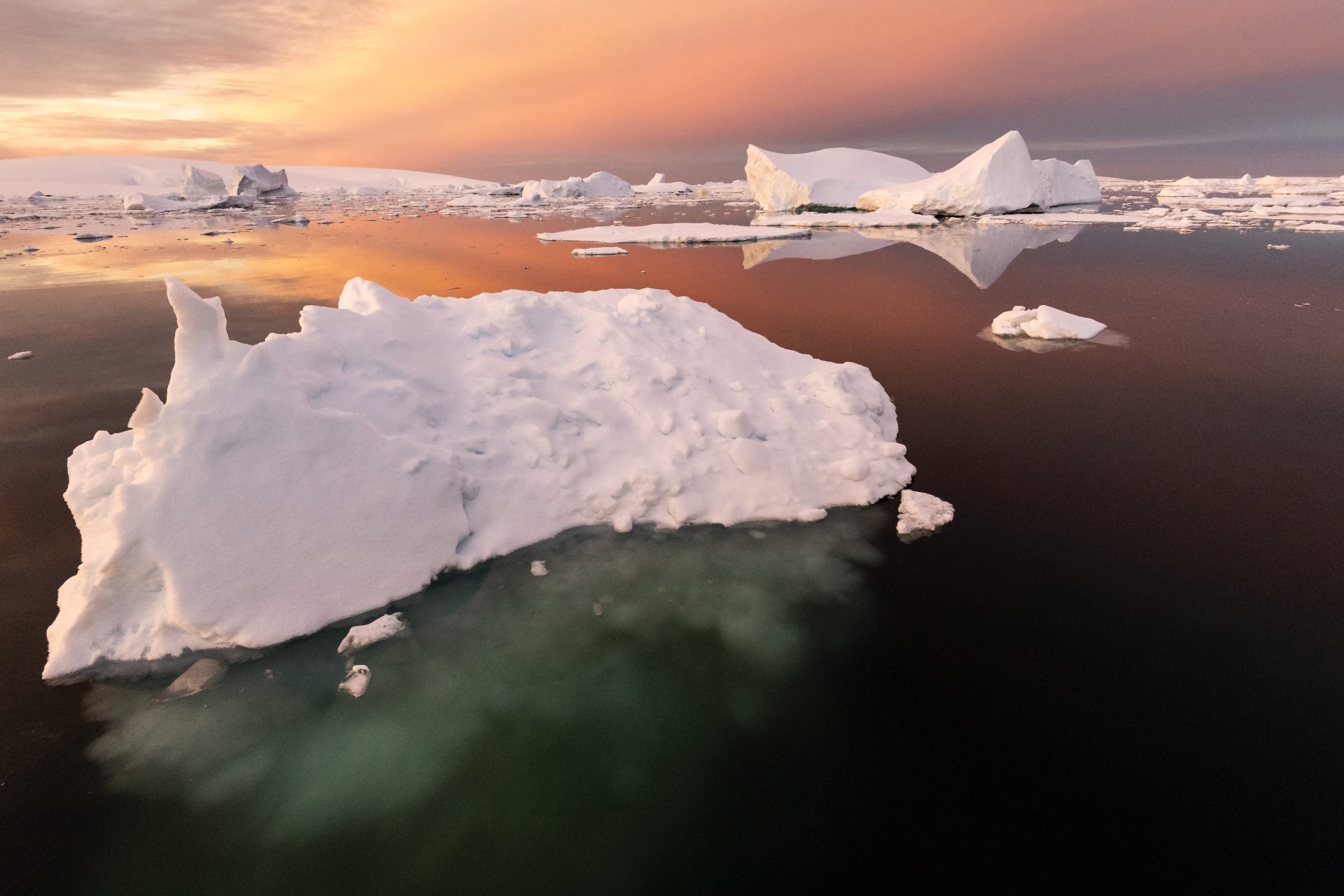 Nick Hawkins: Behind the lens - Oceanographic