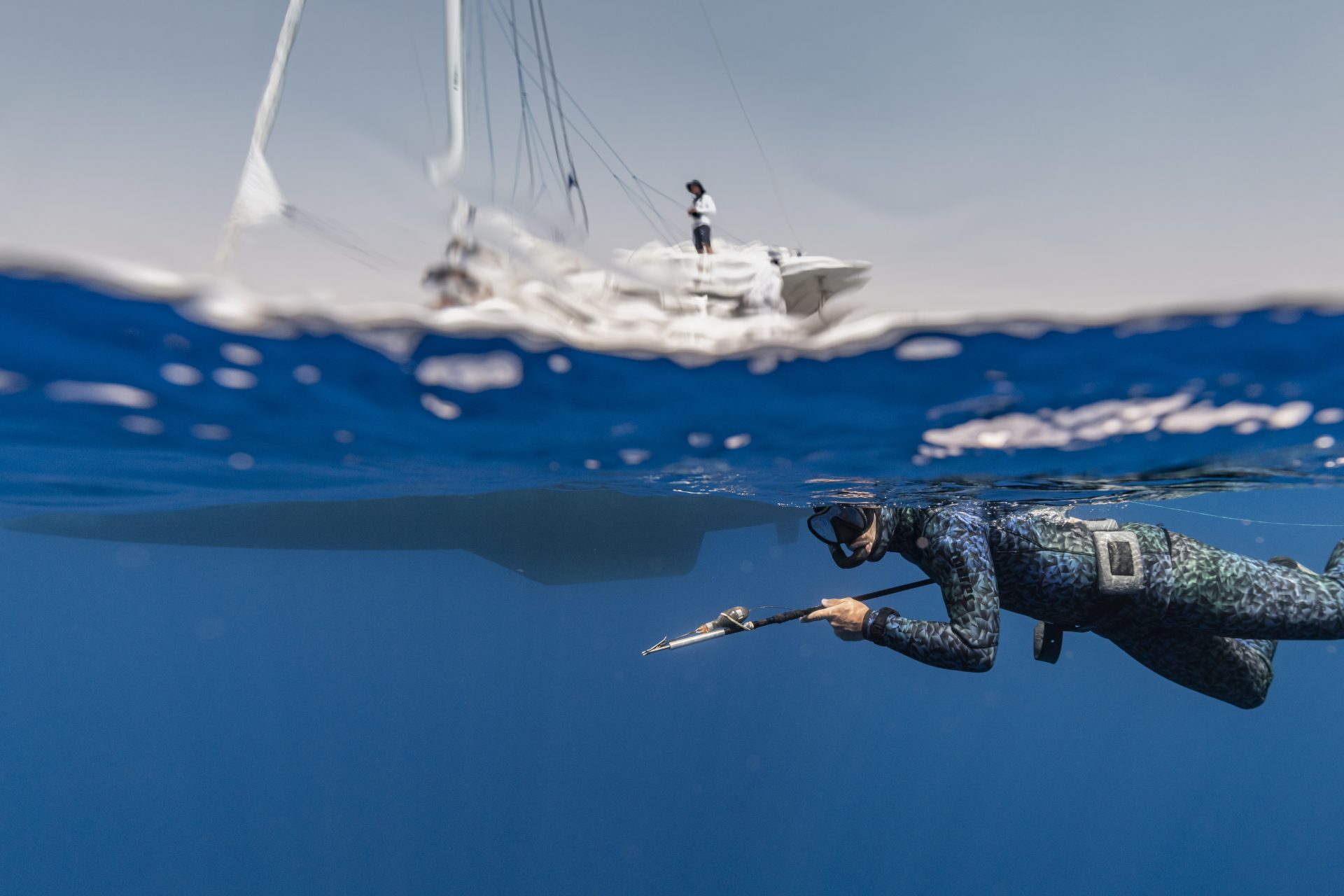 Devil rays of the Mediterranean - Oceanographic