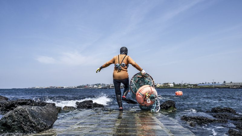 Haenyeo: Last of their kind - Oceanographic