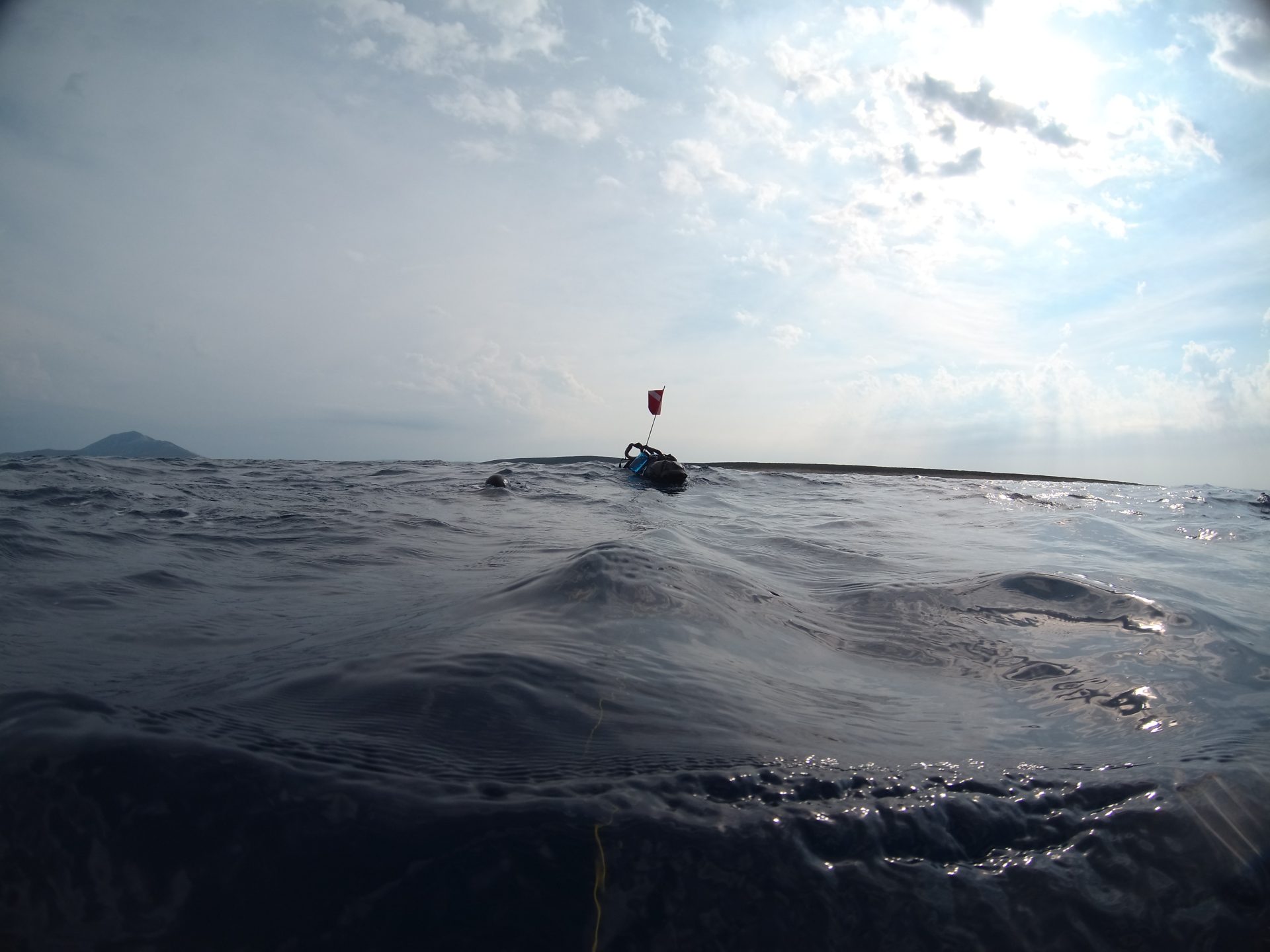 Seatrekking: Becoming one with the ocean - Oceanographic