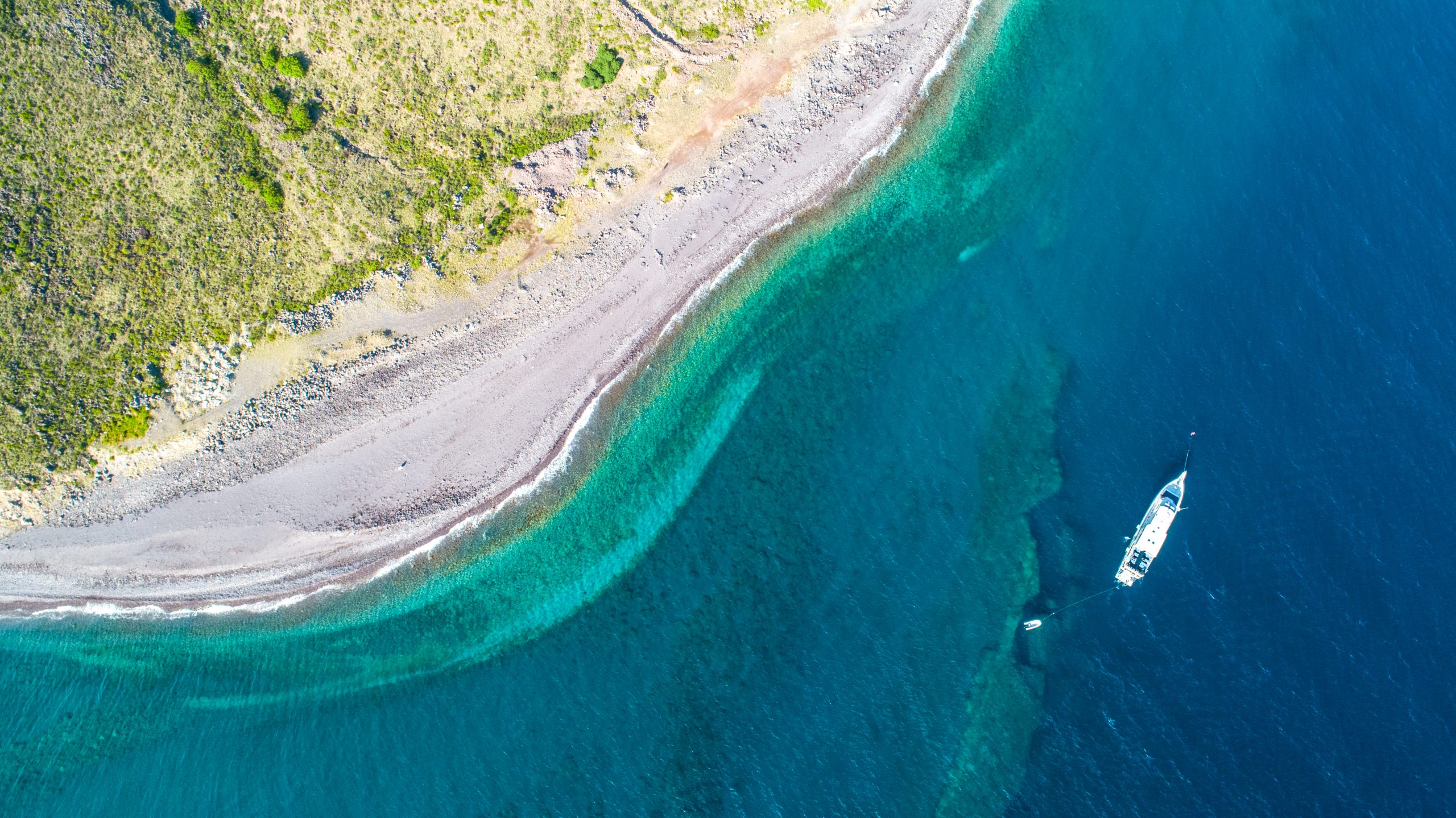 Shark tagging: Tag and click - Oceanographic