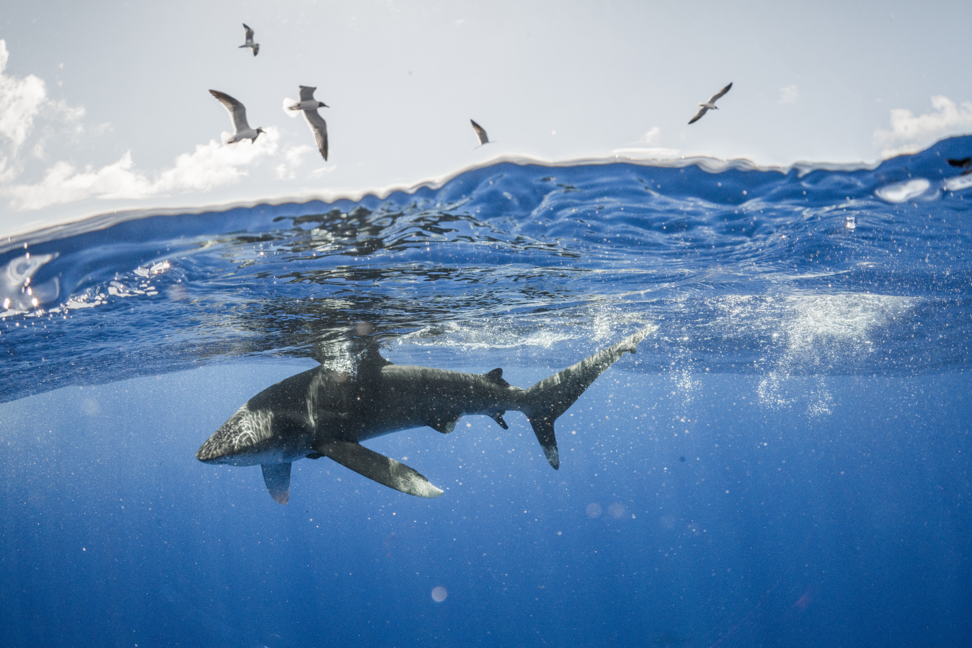 High seas, high stakes, high time - Oceanographic