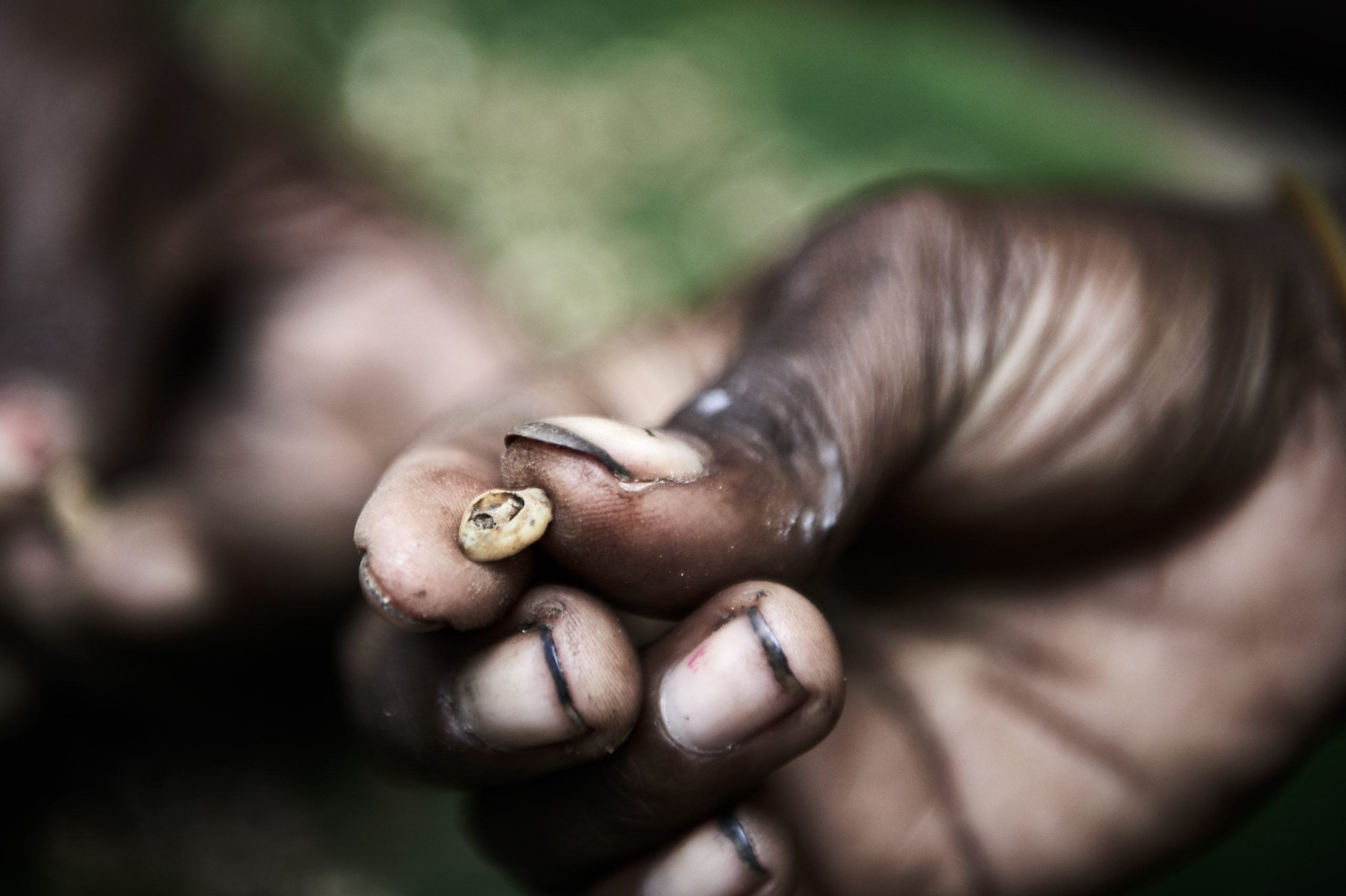 Papua New Guinea: Shell money - Oceanographic