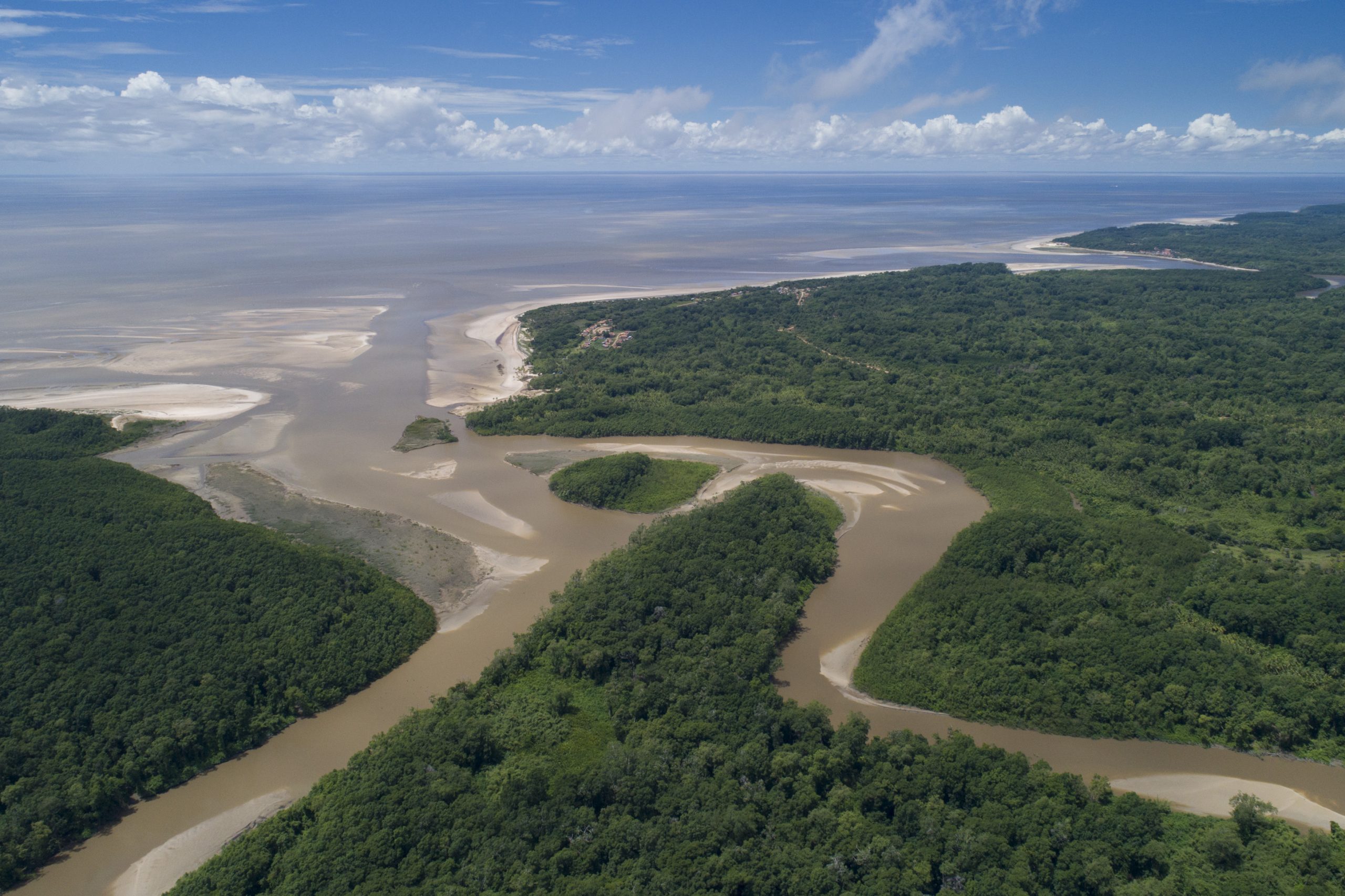 Ode to the Amazon - Oceanographic