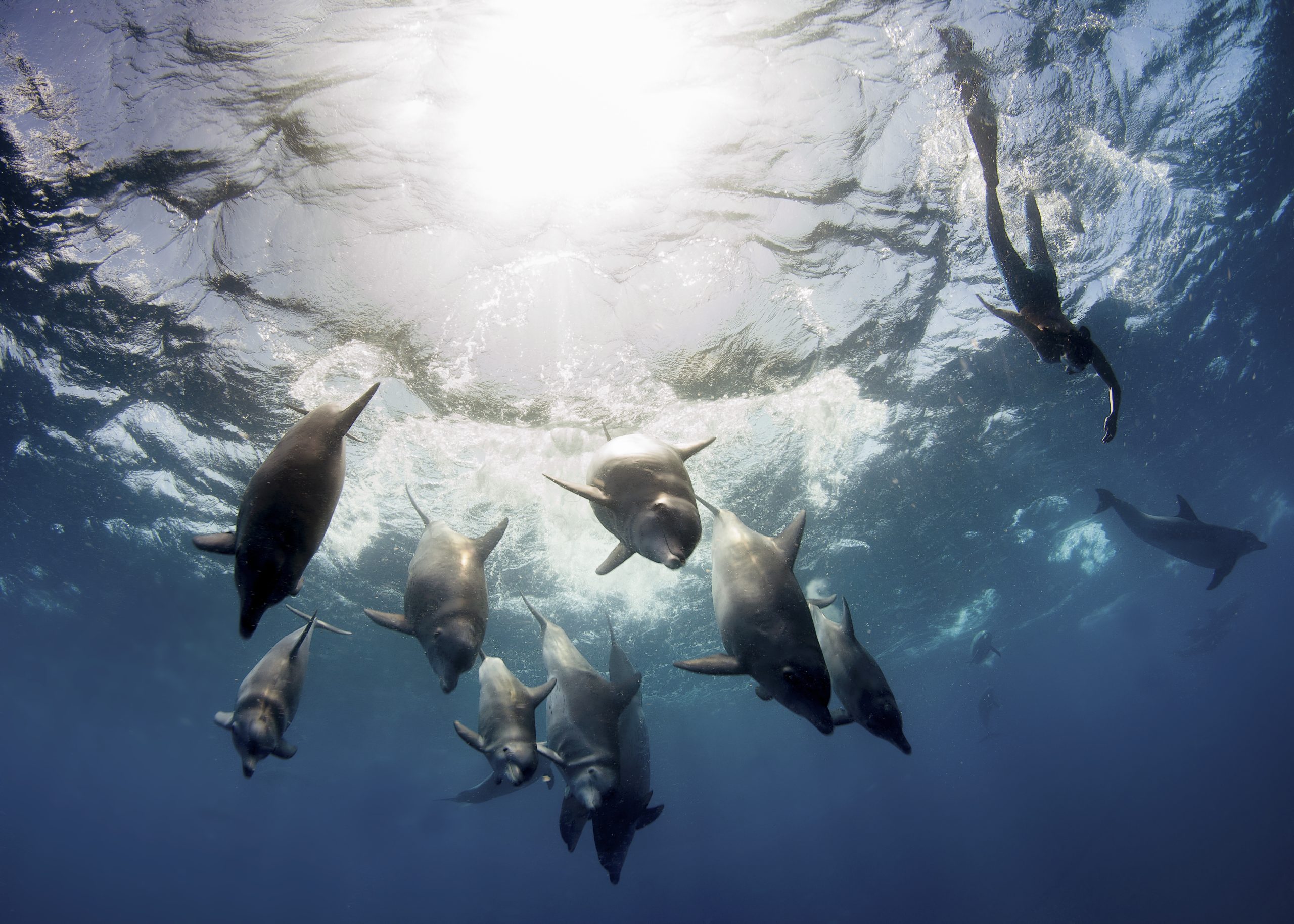 Hanli Prinsloo: Her first name - Oceanographic