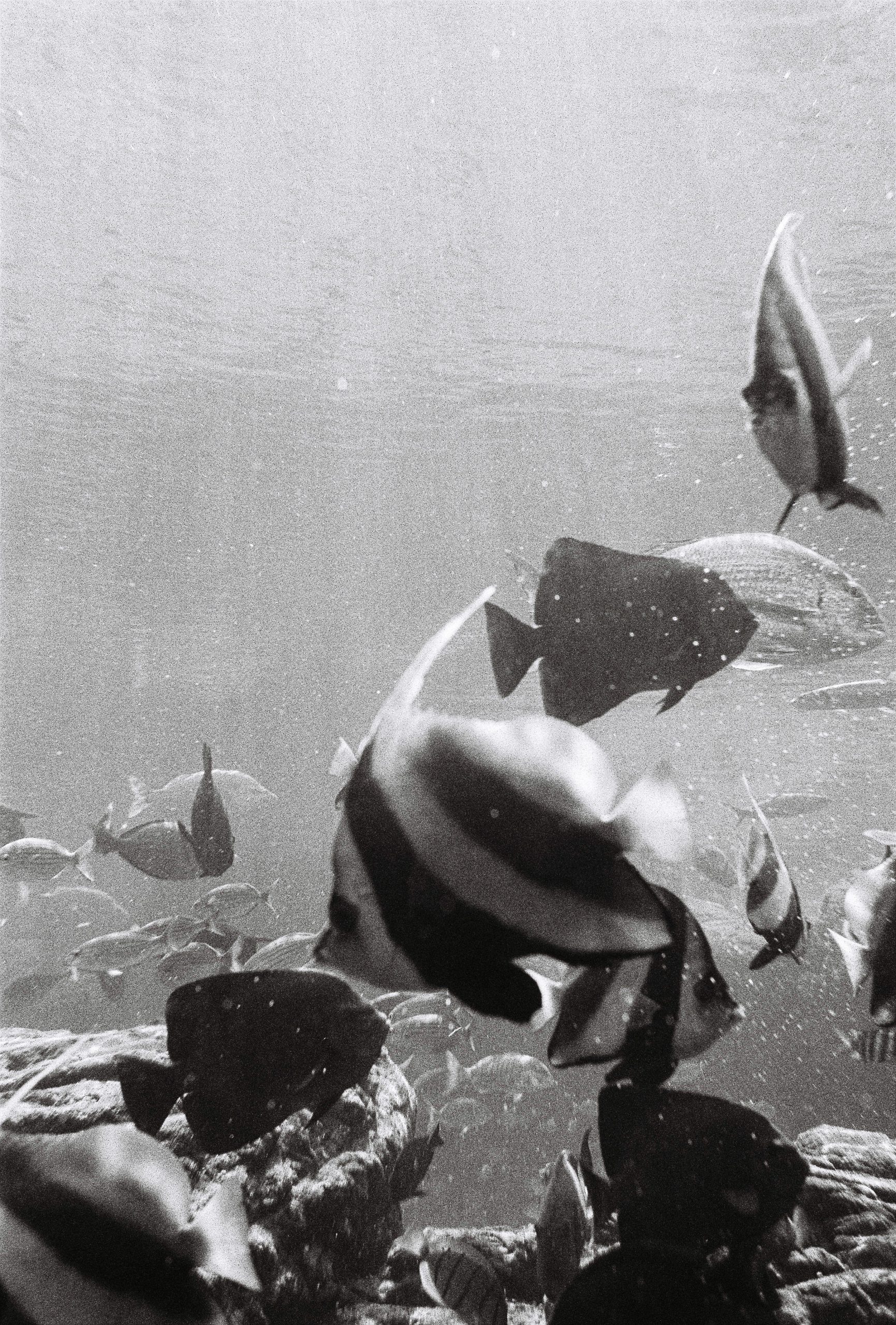 Into the deep - Oceanographic