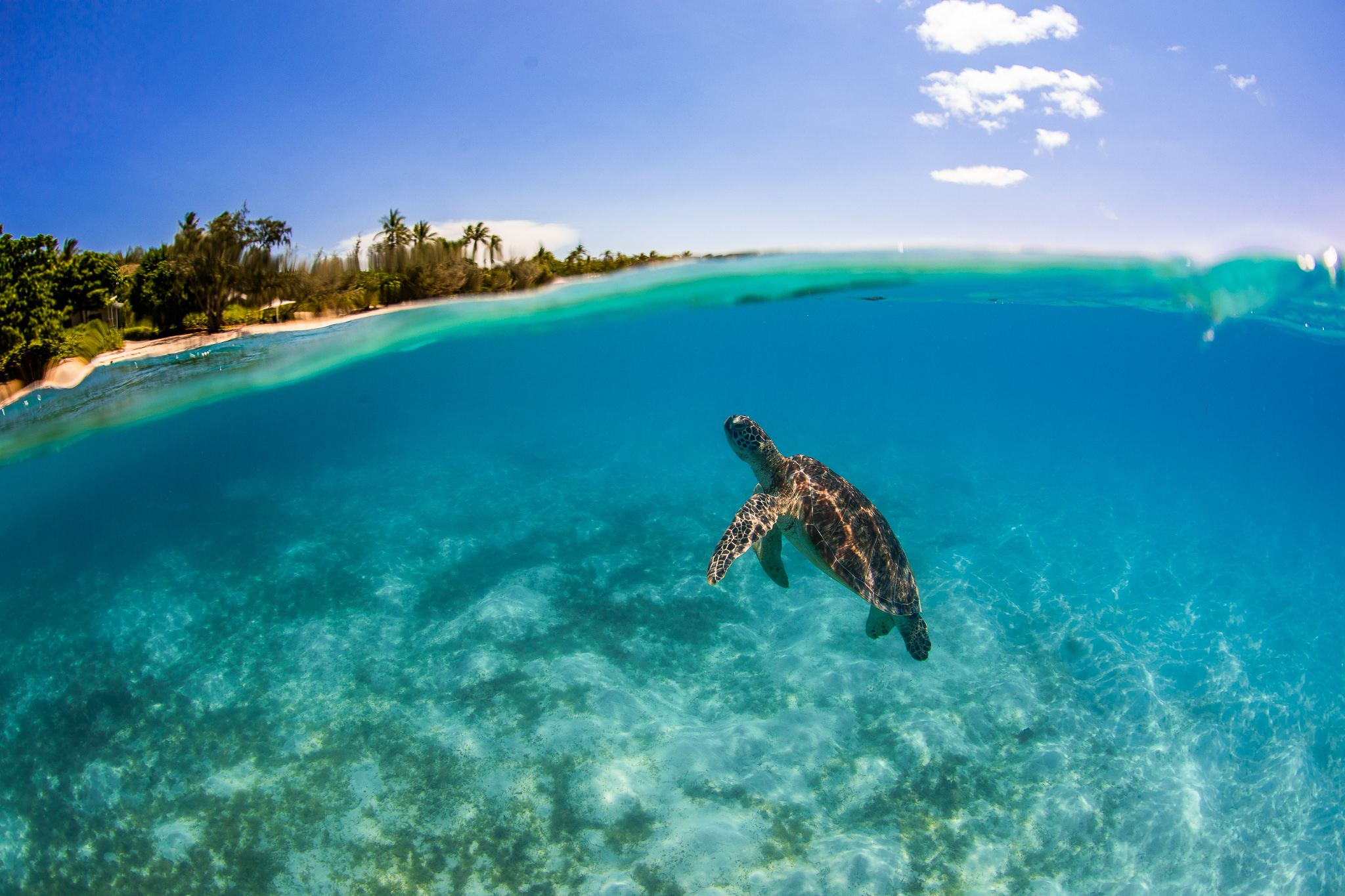 Remote reefs: Surveying Lizard Island - Oceanographic