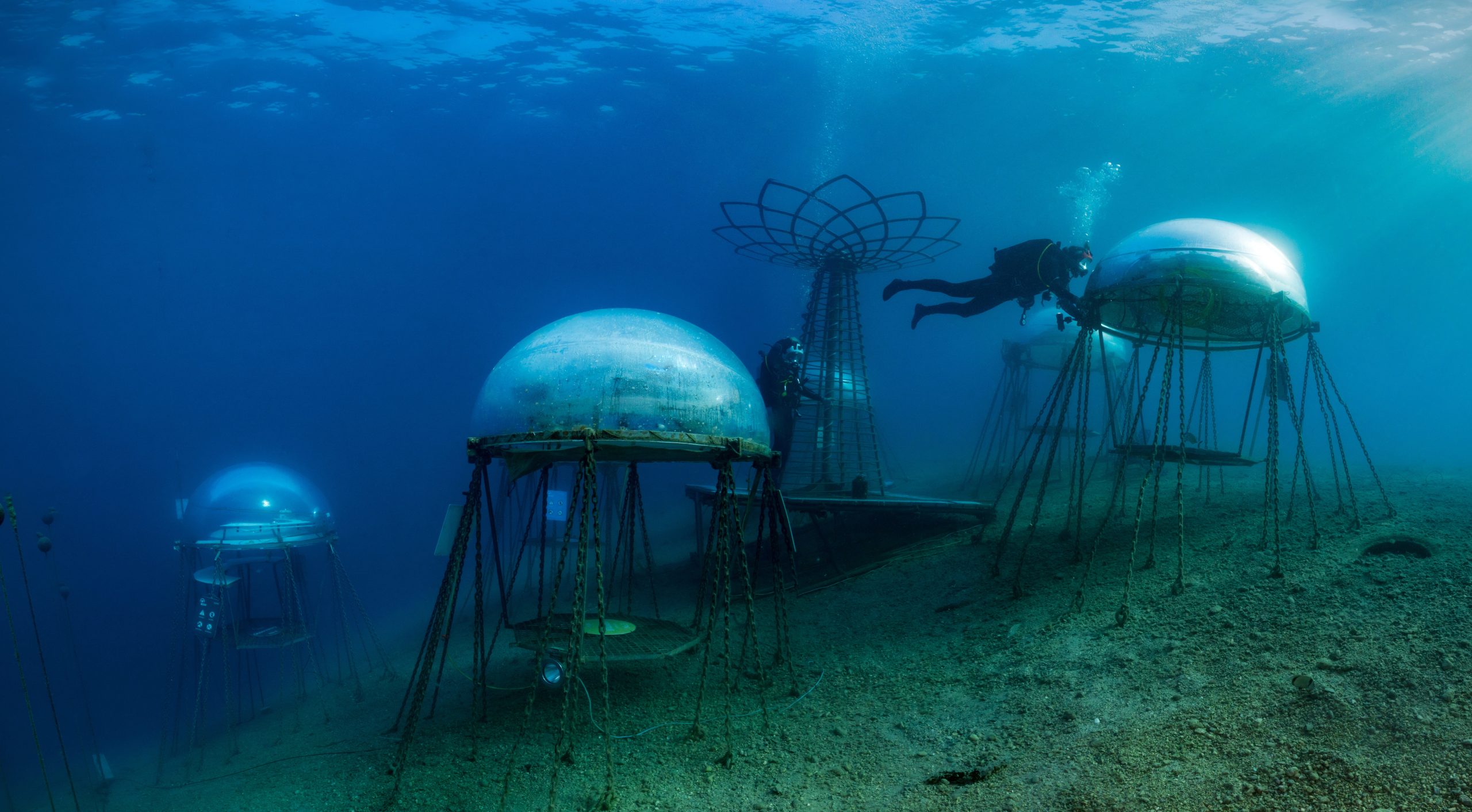 Nemo's Garden: Visiting Italy's underwater farmers - Oceanographic