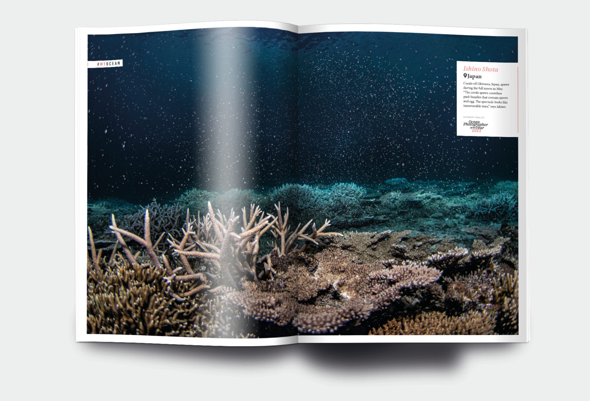 Issue 28 / Sea forests - Oceanographic