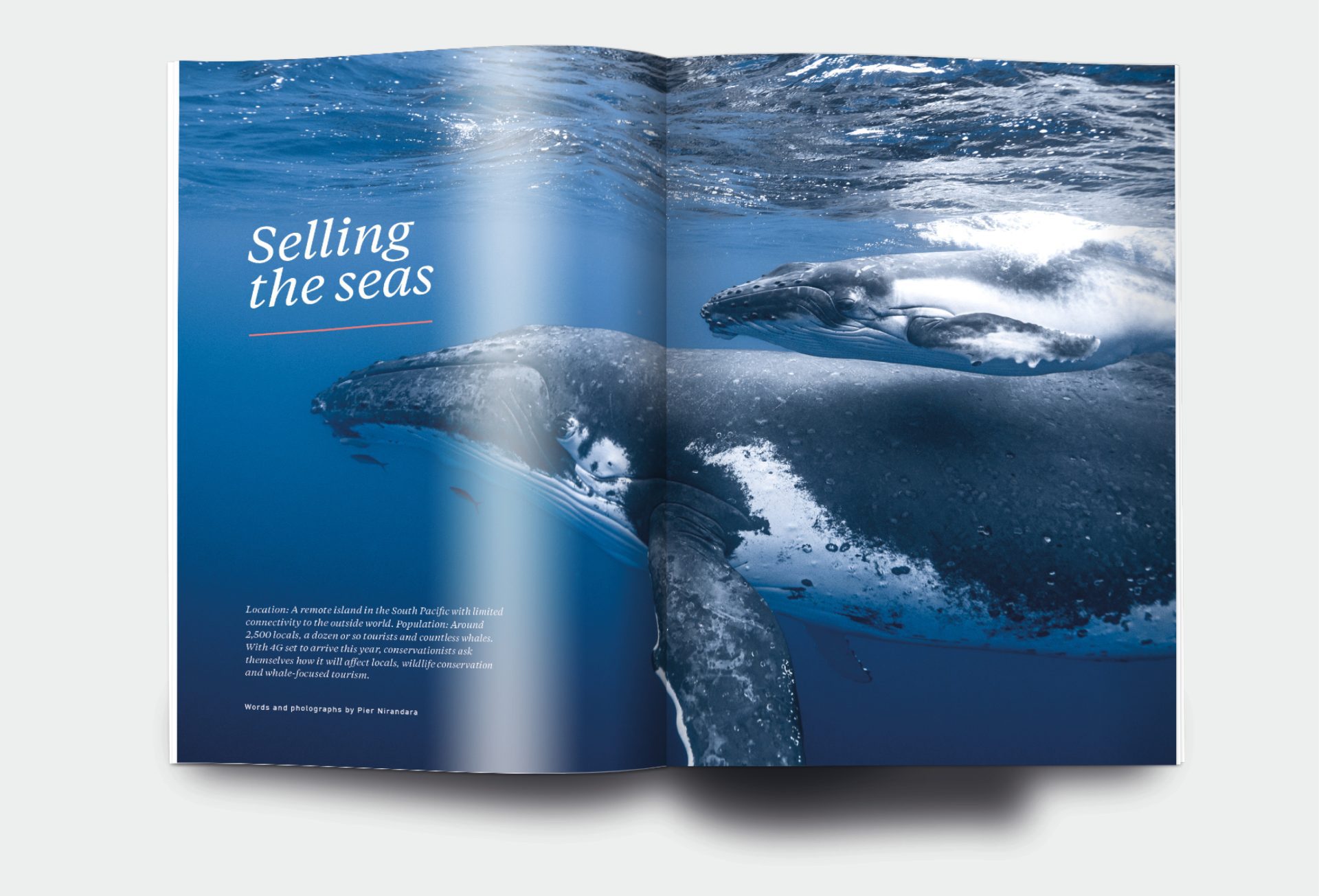 Issue 28 / Sea forests - Oceanographic