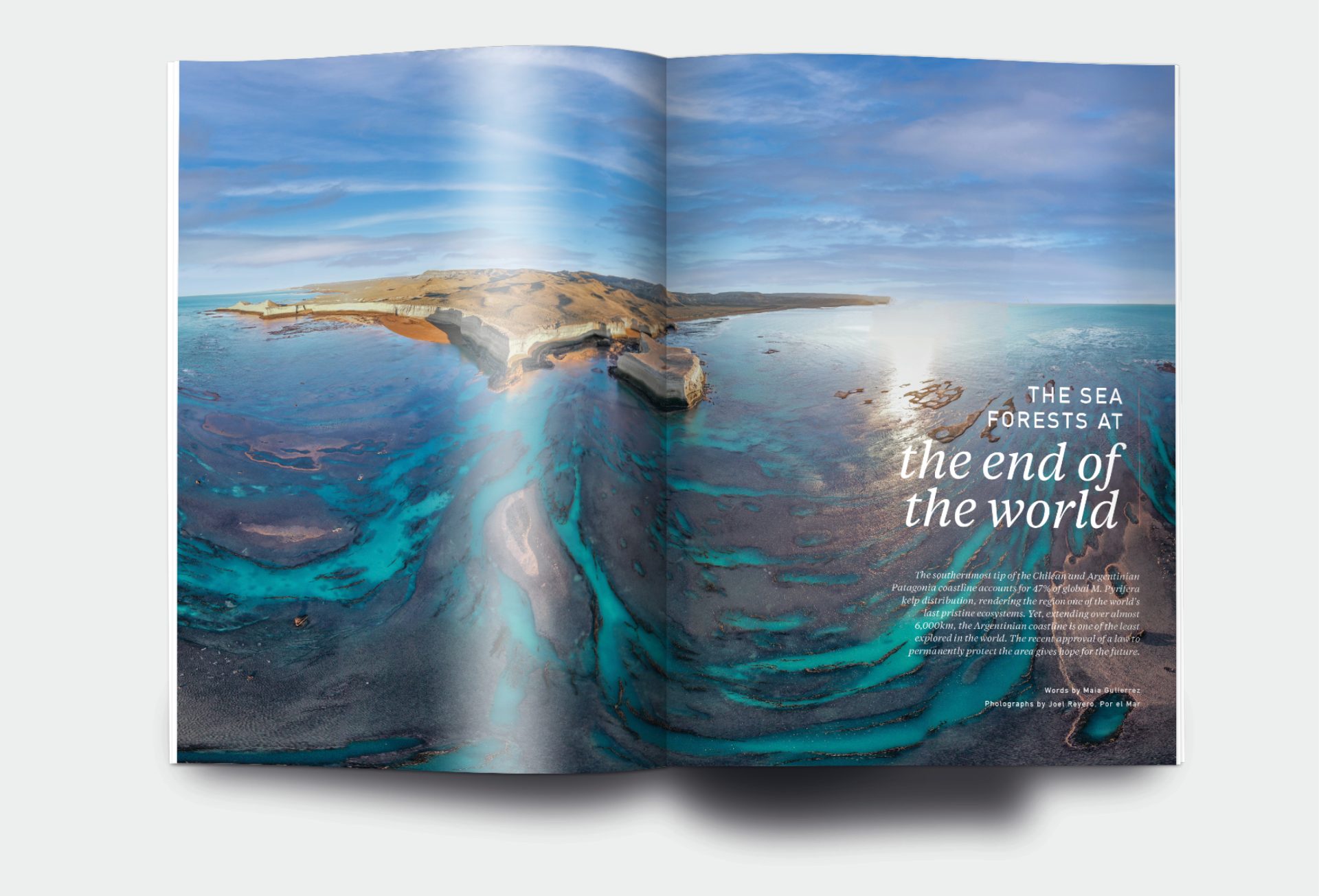 Issue 28 / Sea forests - Oceanographic