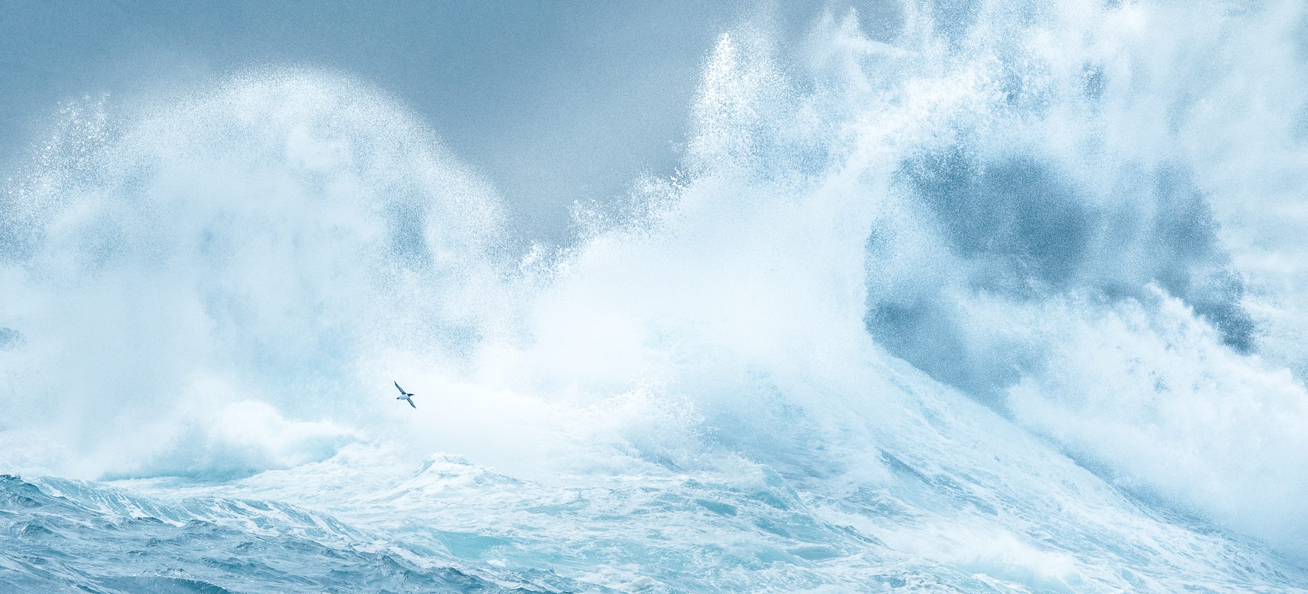 Shetland Islands: Ocean flights - Oceanographic