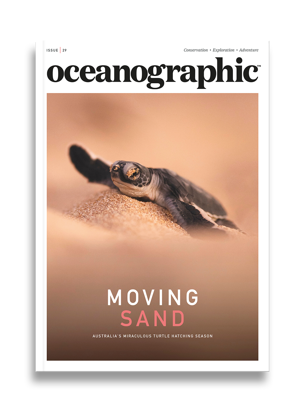 Issue 29 / Moving sand - Oceanographic