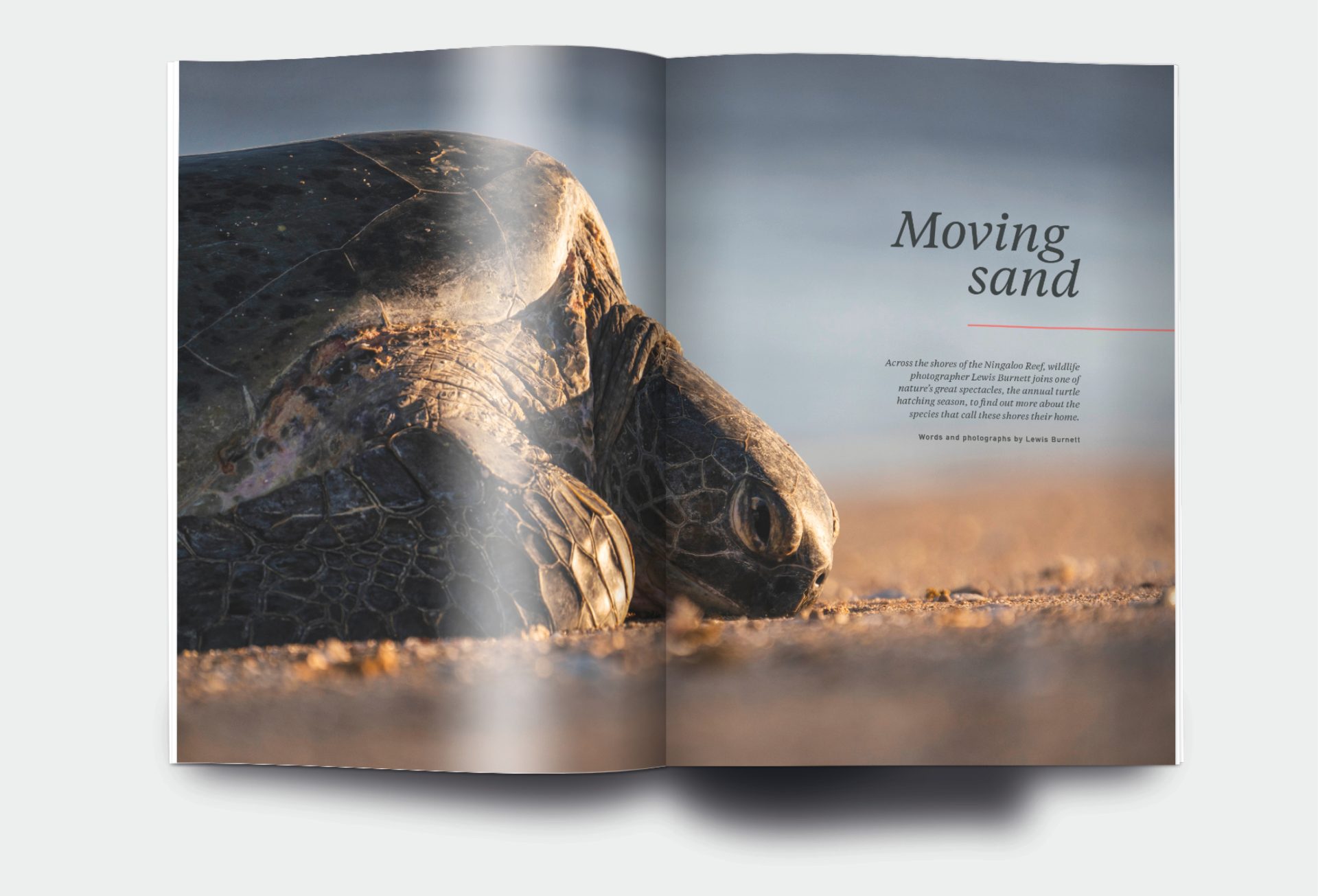 Issue 29 / Moving sand - Oceanographic