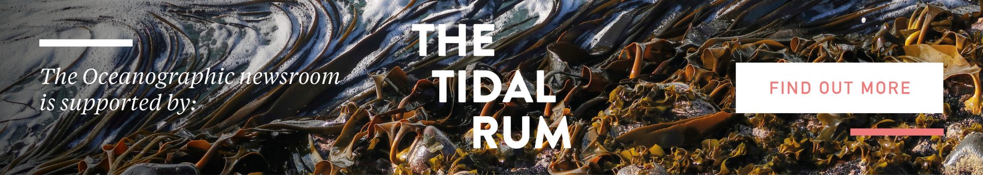 4ocean collects record-setting 30 million pounds of trash - Oceanographic