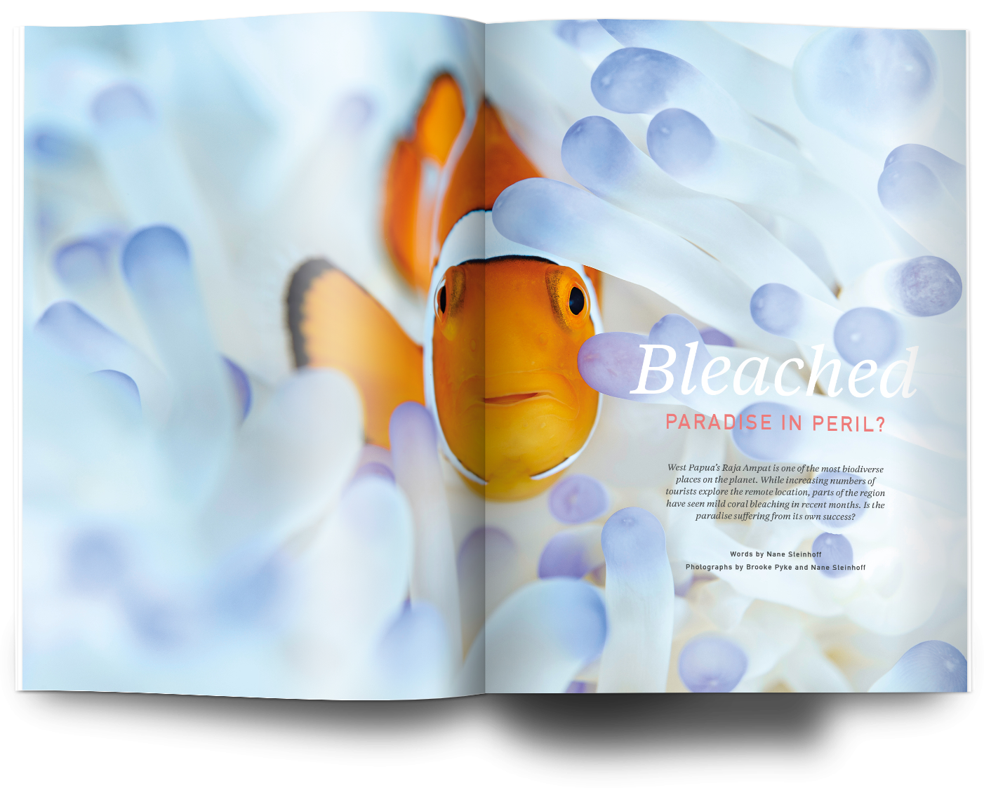 Issue 30 / Bleached - Oceanographic
