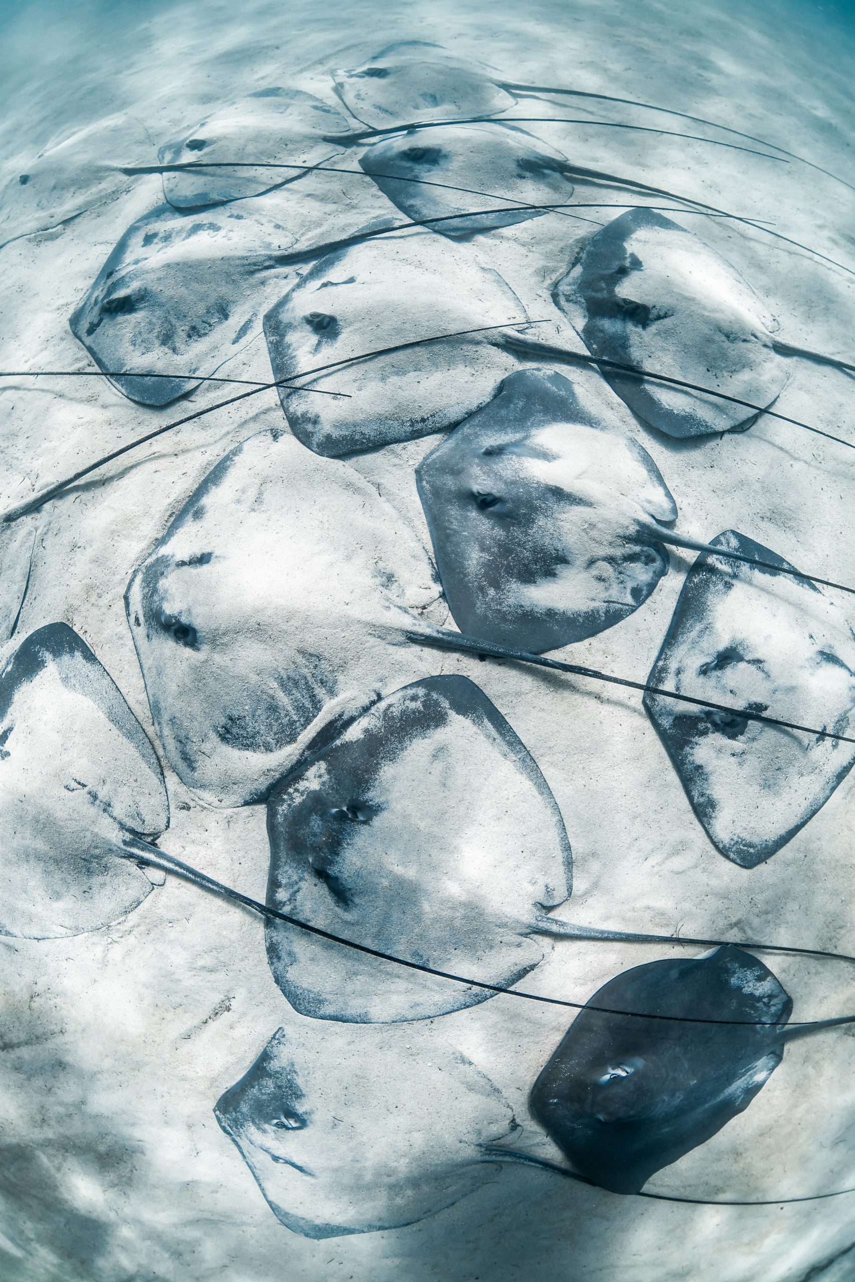 Jake Wilton: Behind the lens - Oceanographic