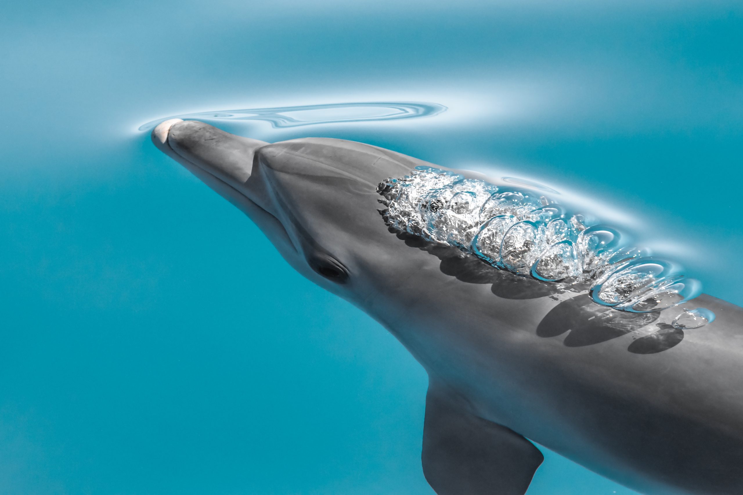 Jake Wilton: Behind the lens - Oceanographic