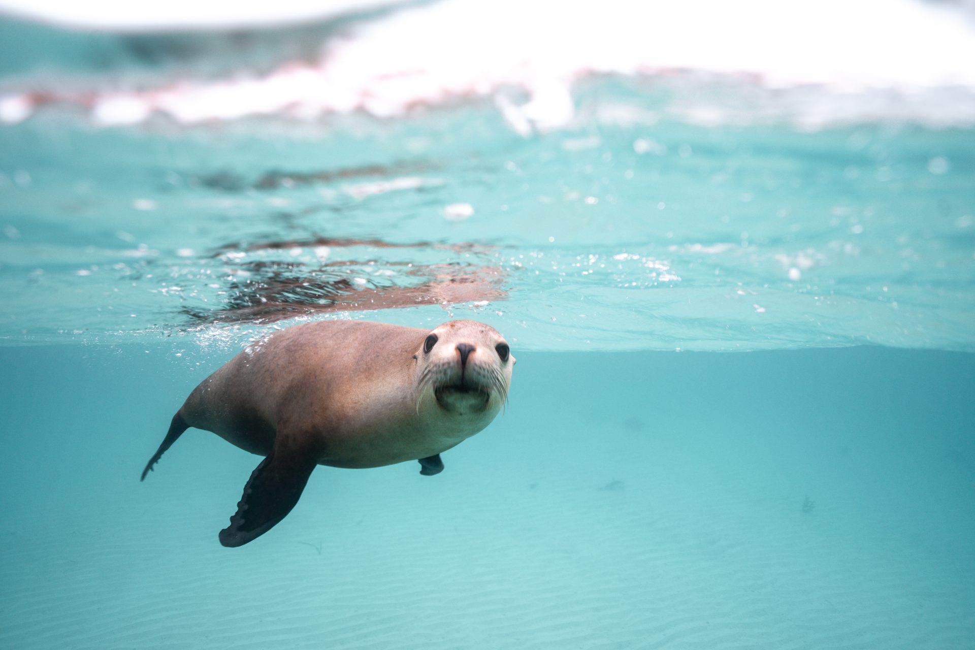 Exploring the Solomon Islands - Oceanographic