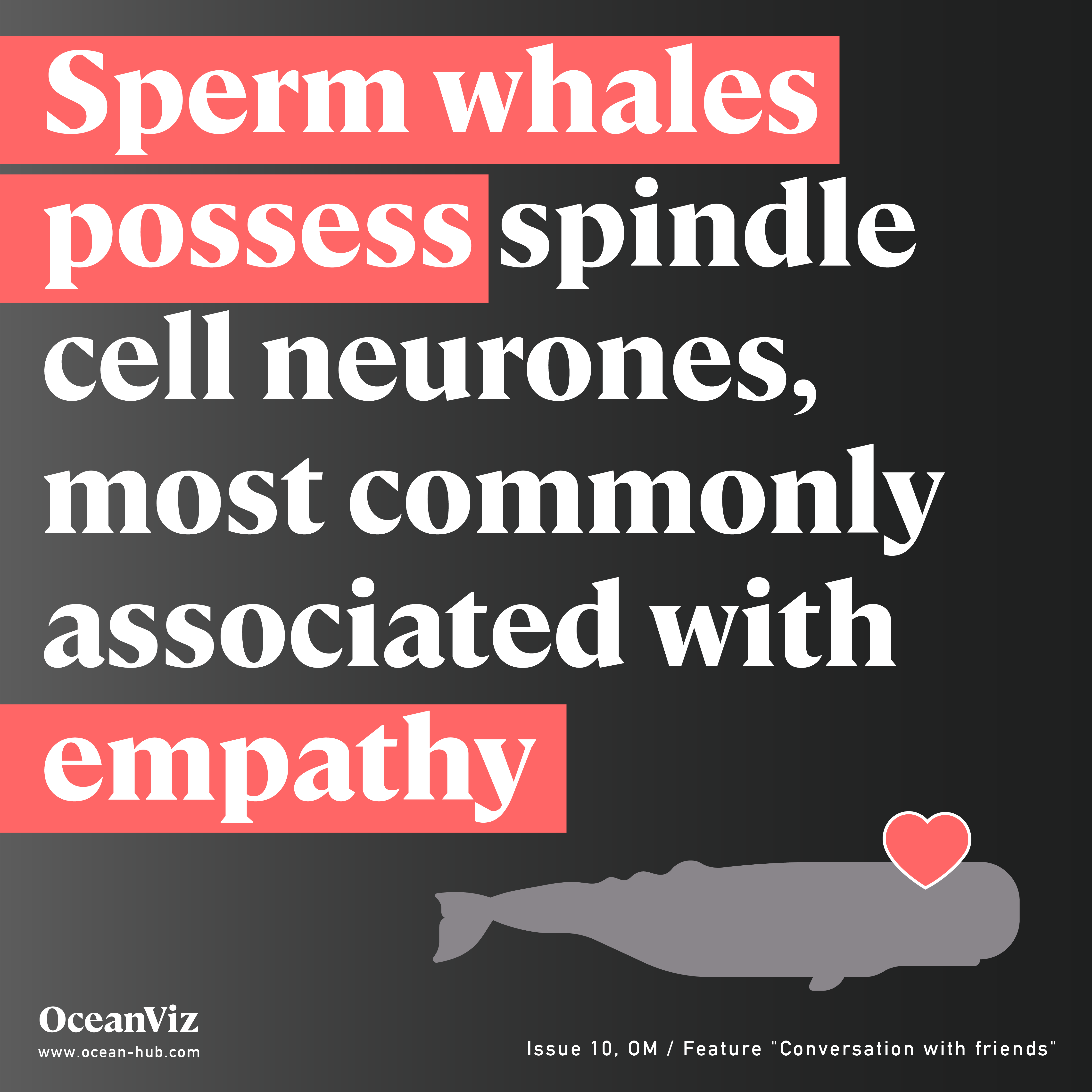 Sperm whales could feel empathy - Oceanographic