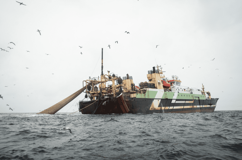 Half of the UK’s key fish populations are overfished, report finds