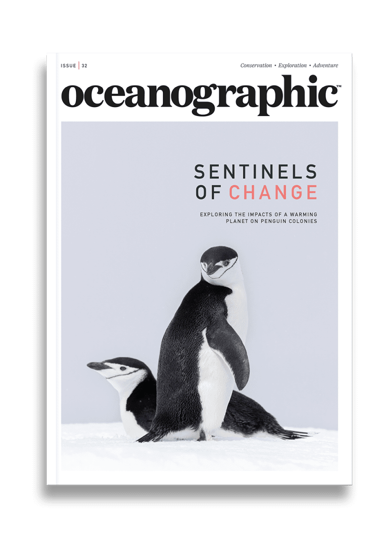 Oceanographic Magazine - Conservation / Exploration / Adventure