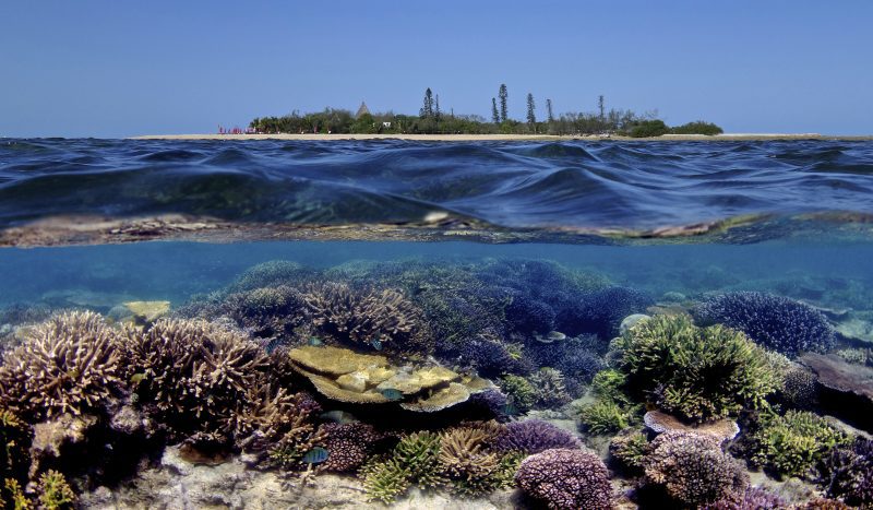 New Caledonia protects 10% of its ocean