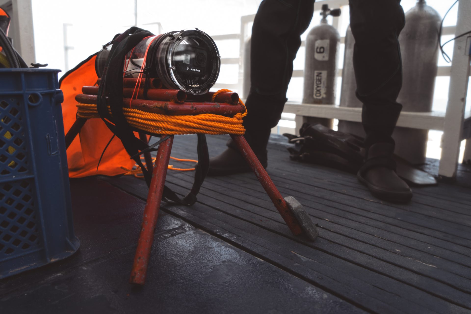 Diving with thresher sharks Oceanographic