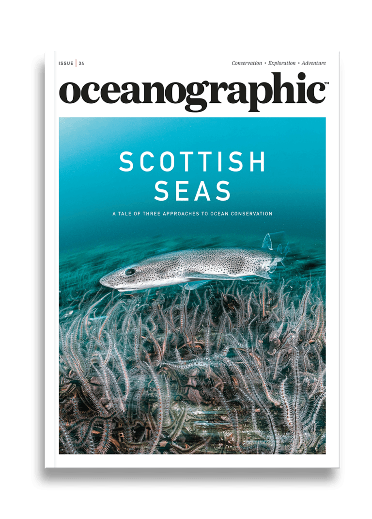Oceanographic Magazine - Conservation / Exploration / Adventure