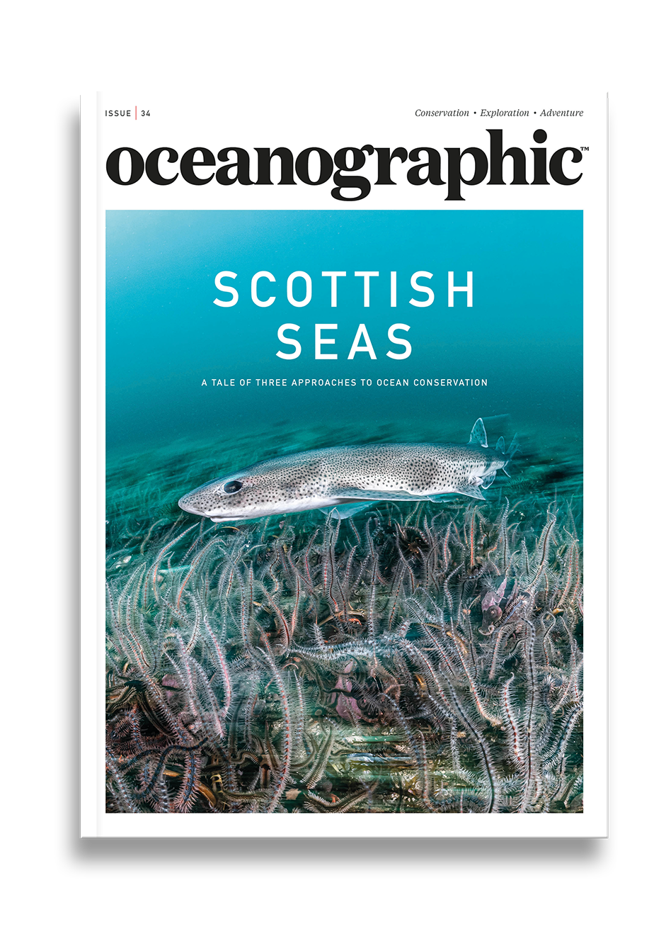 Oceanographic Magazine - Conservation / Exploration / Adventure