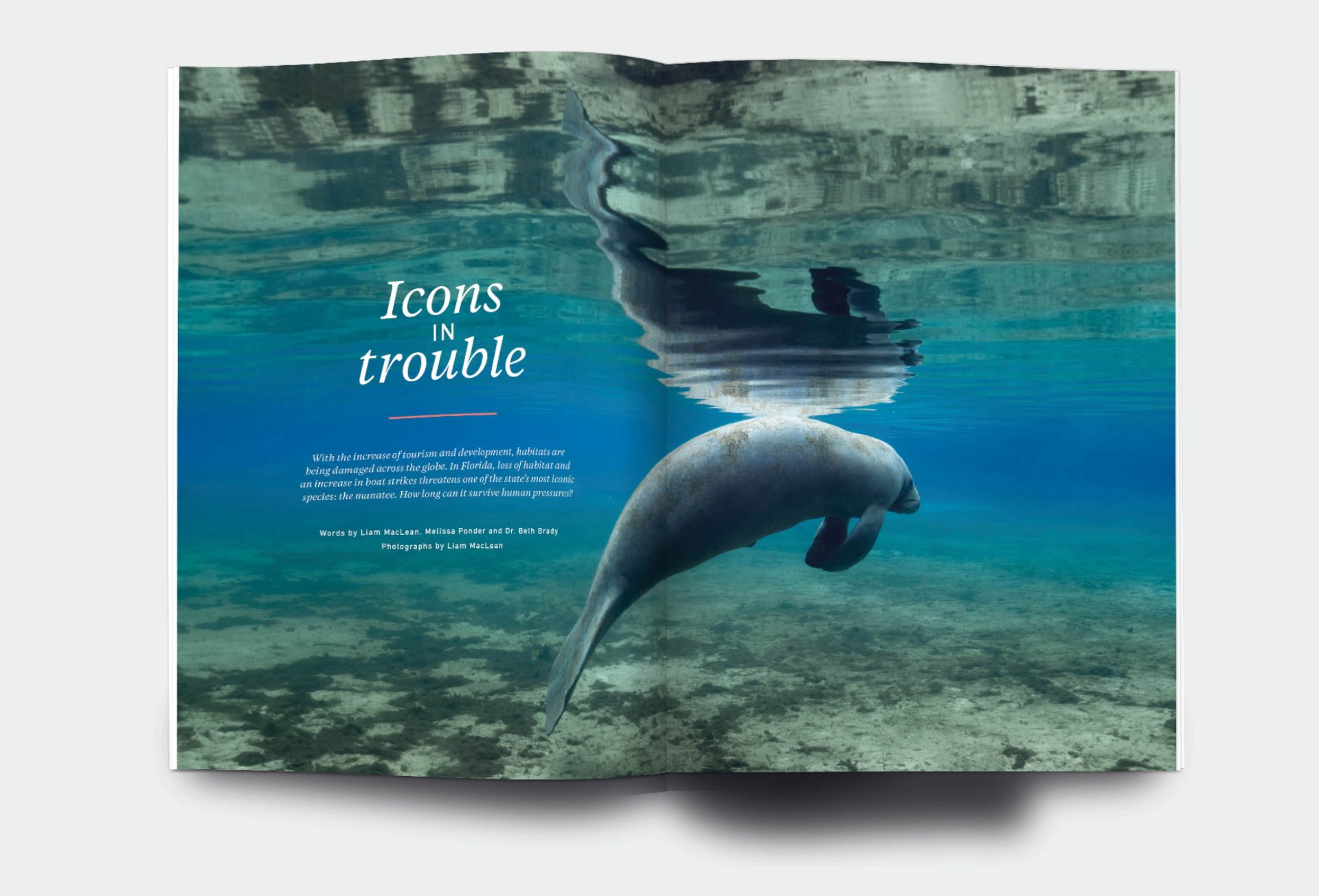 Issue 34 / Scottish seas - Oceanographic