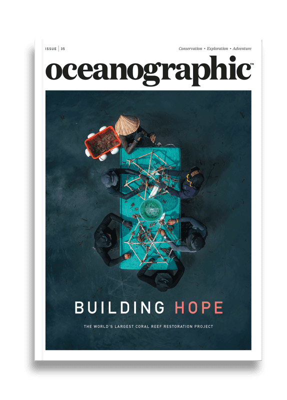 Winners Gallery - Oceanographic