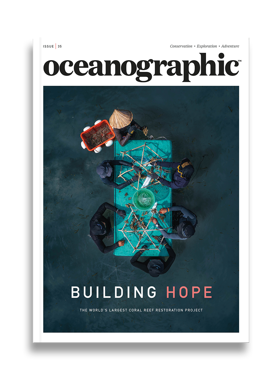 Oceanographic Magazine - Conservation / Exploration / Adventure