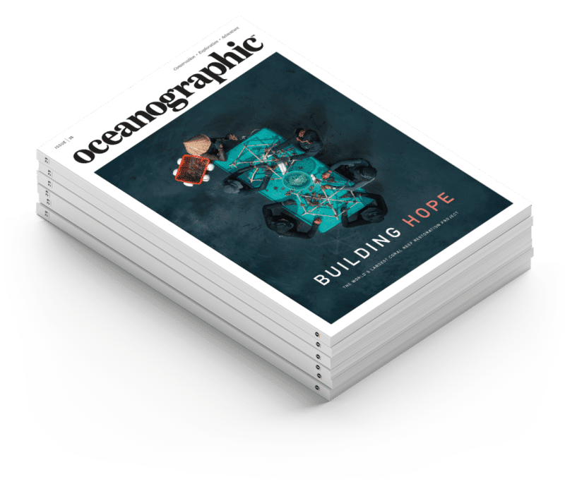 Digital Ocean Hub - Oceanographic