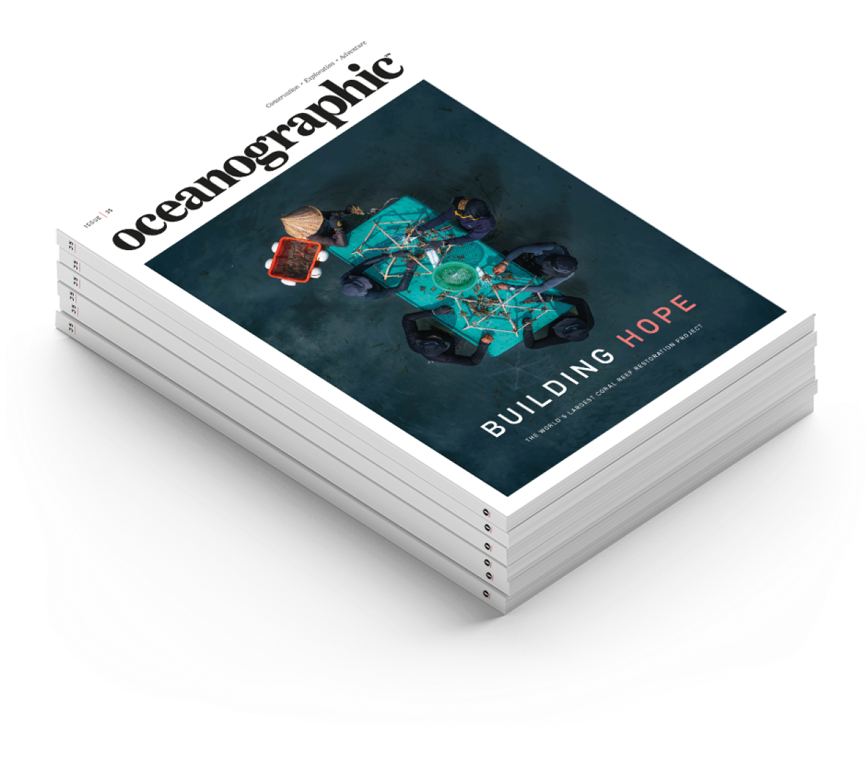 Issue 30 / Bleached - Oceanographic