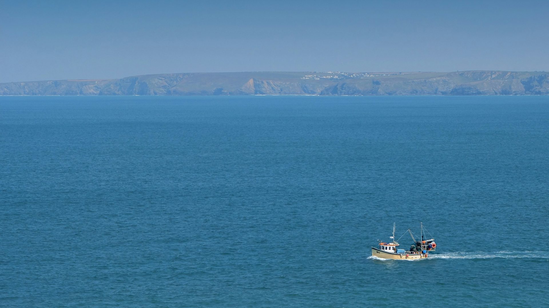 Seagrass rewilding: New boat mooring system helps growth