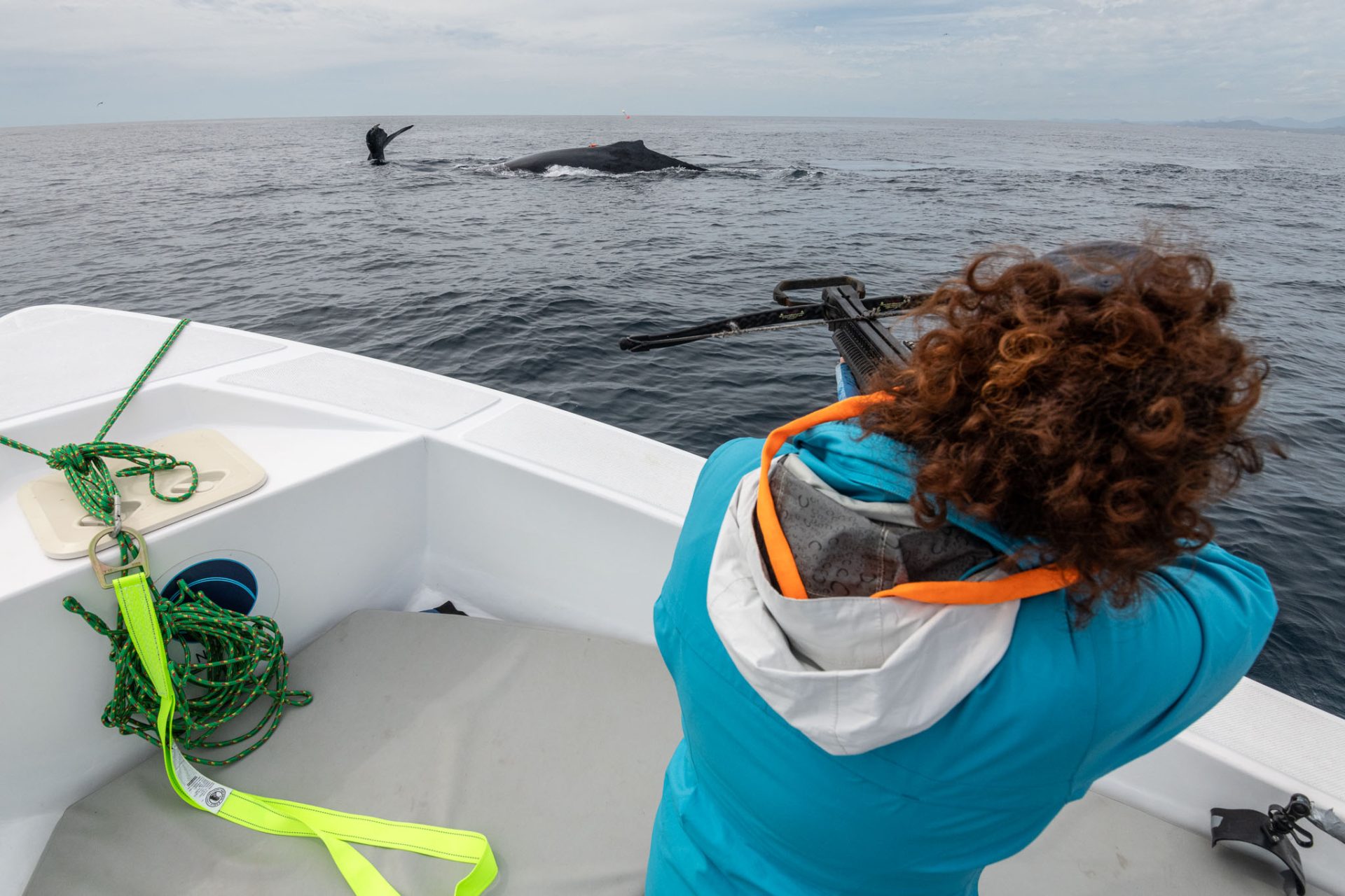 Whale field research diary - Oceanographic