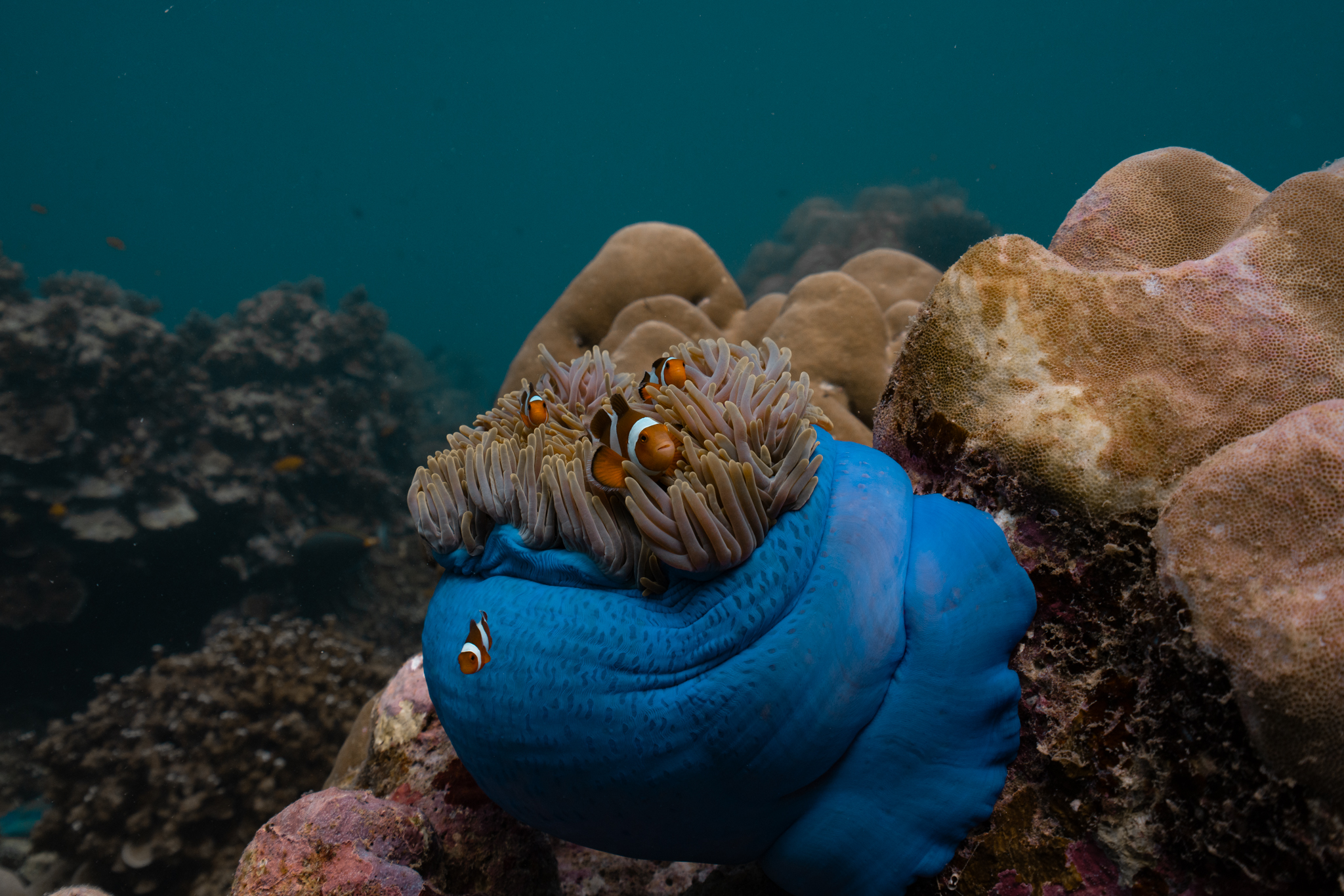 The modern Moken Oceanographic