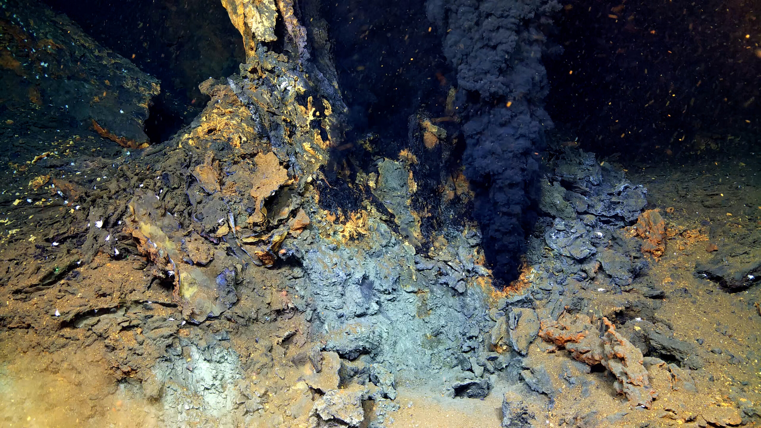 Arctic Deep Expedition launched by Ocean Census - Oceanographic