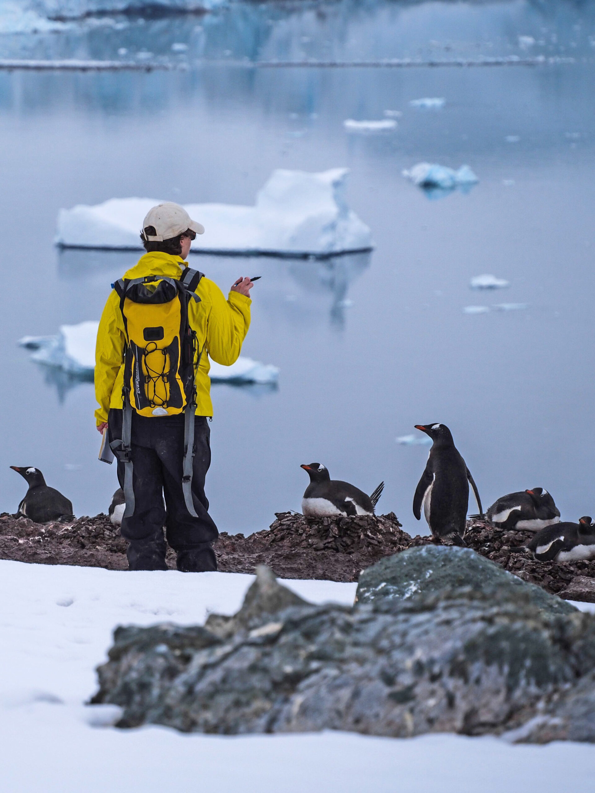 Heather Lynch: Protecting penguins in the Antarctic - Oceanographic