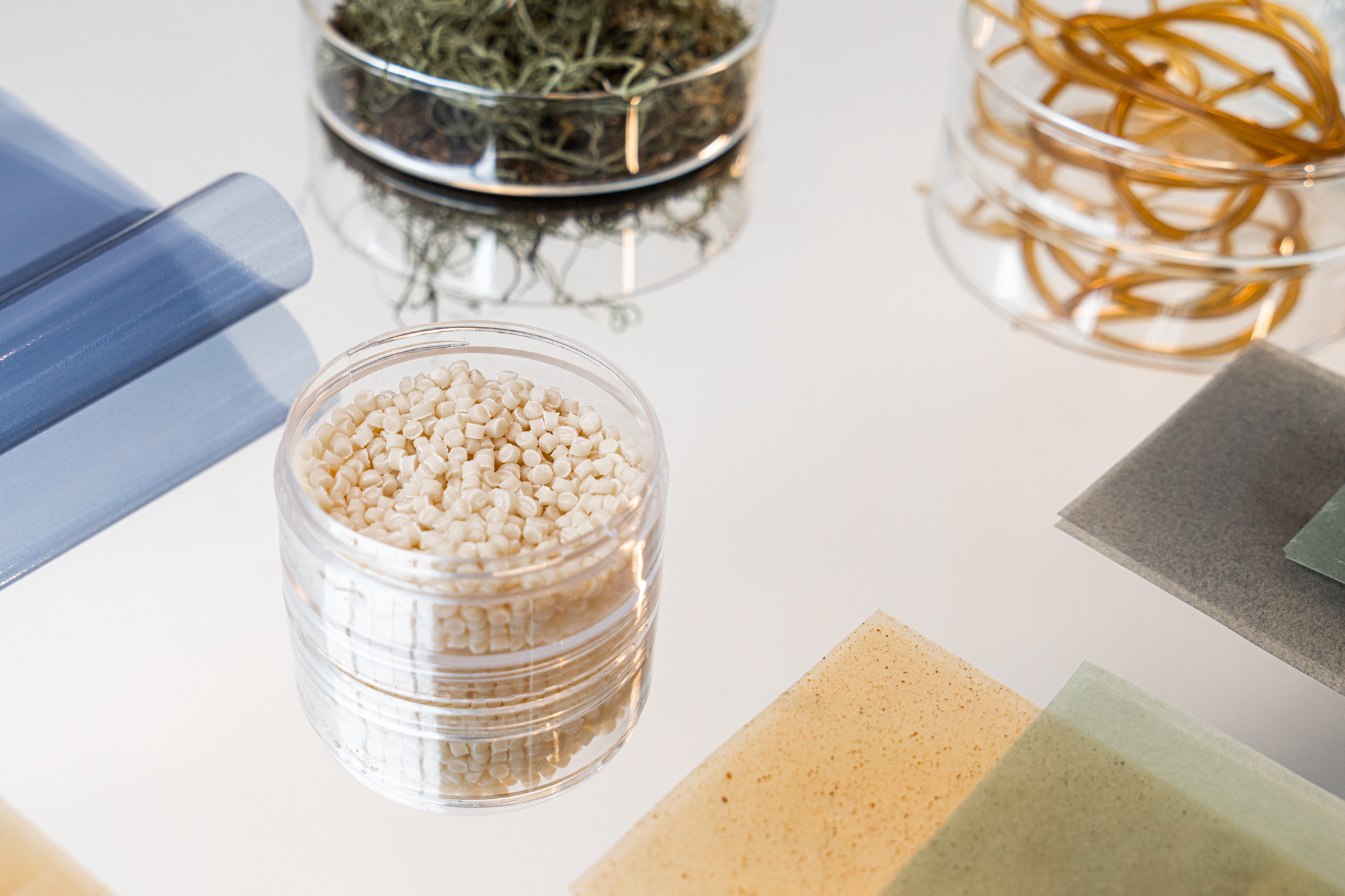 Californian start-up turns seaweed into a clever plastic alternative