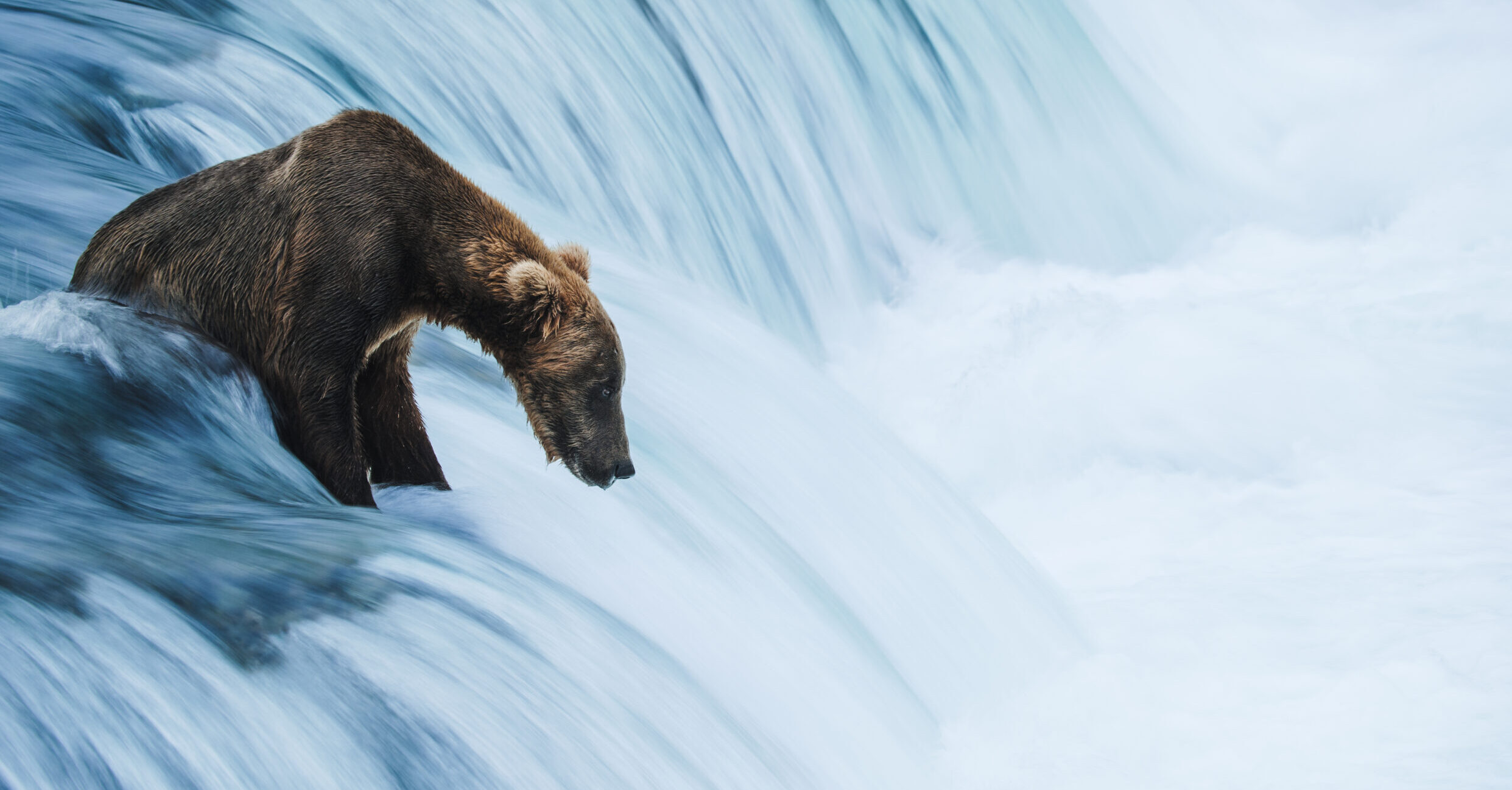 Katmai National Park: Where the rivers run red - Oceanographic