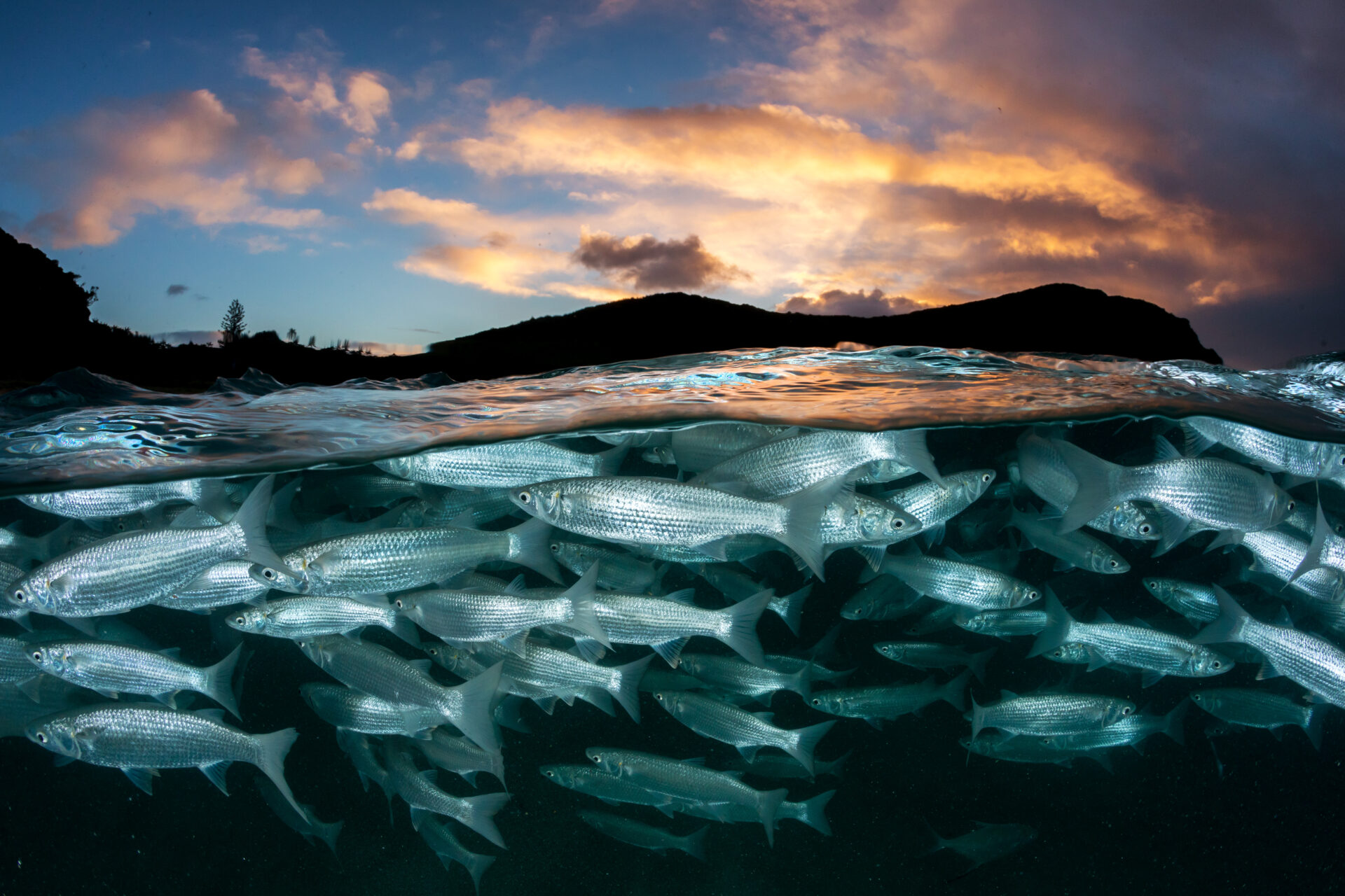 News - Oceanographic