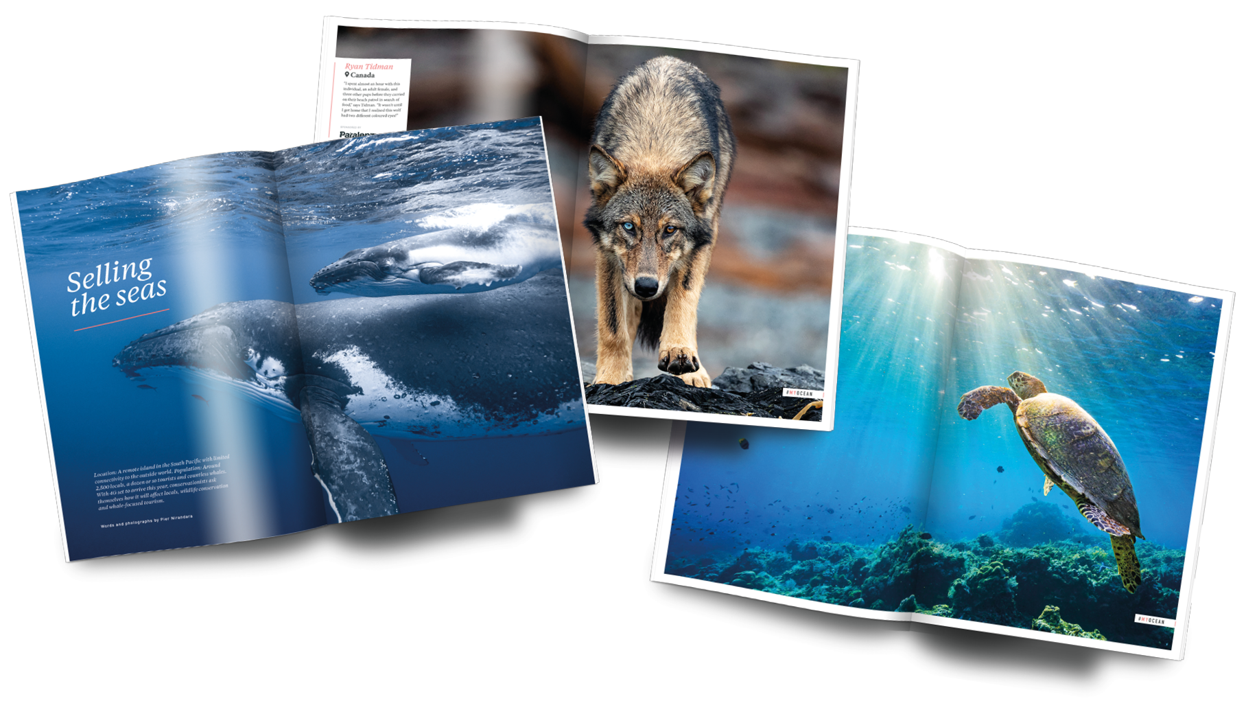 Subscriptions - Oceanographic