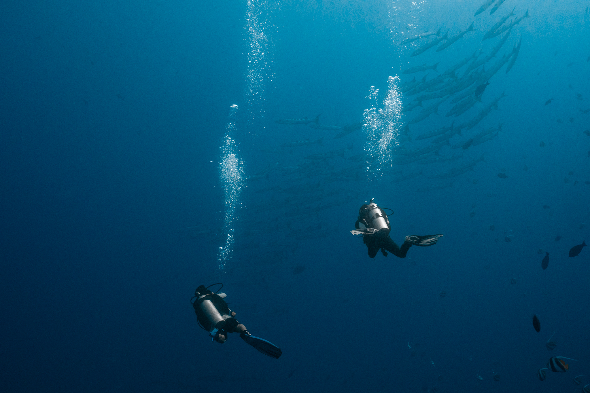 Andaman Islands: Meet the Karen's first female dive instructor