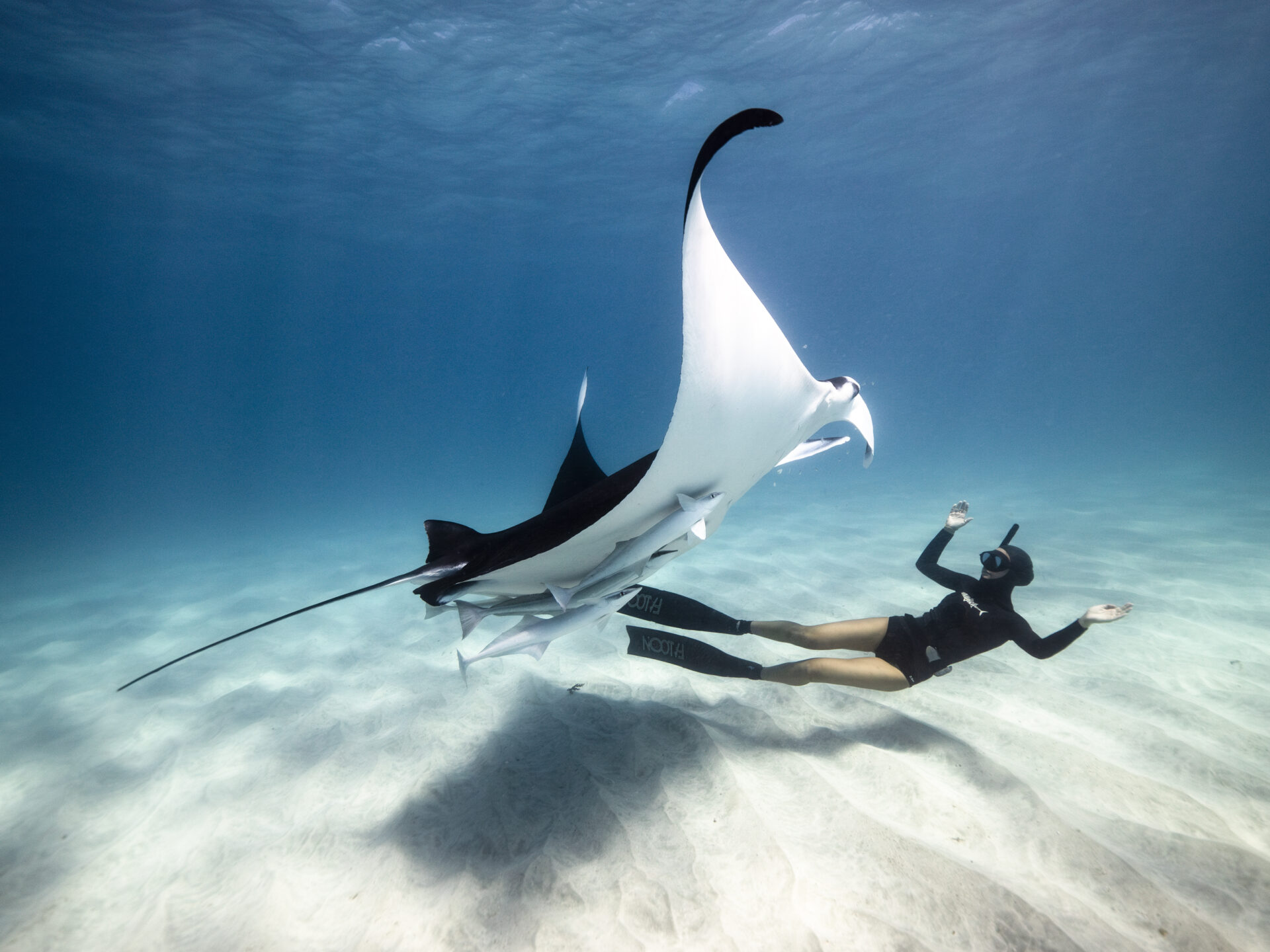 New Ocean Photographer of the Year exhibition opens in Sydney ...