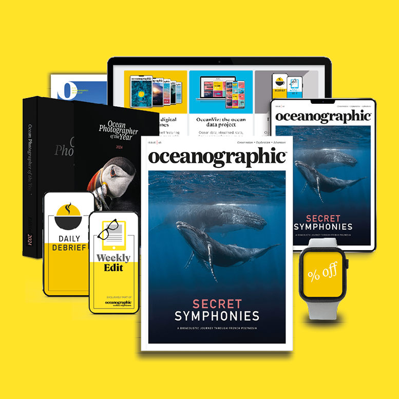 Subscriptions - Oceanographic