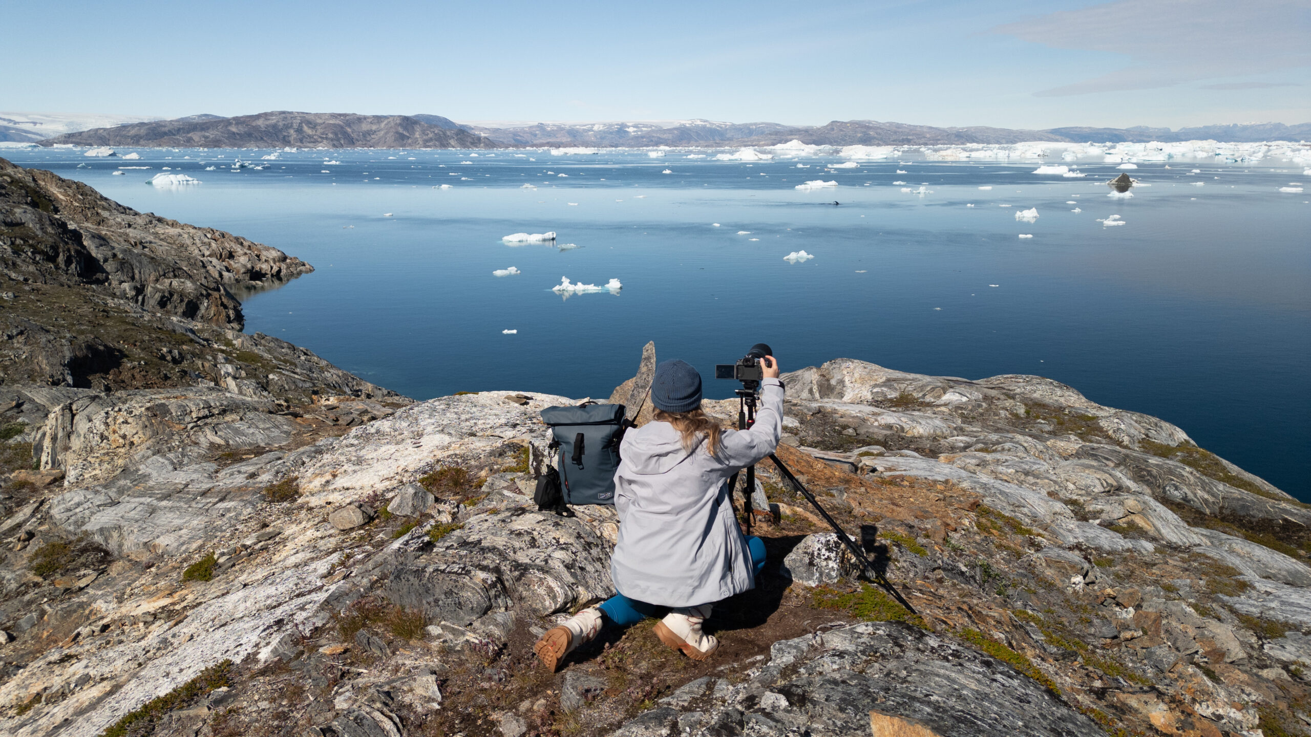 Whales in the bay in Greenland - Oceanographic